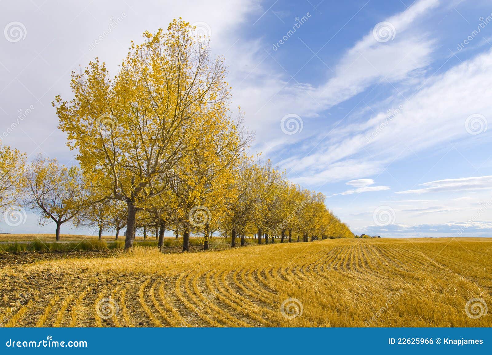 Autmun Scene stock photo. Image of environment, countryside - 22625966