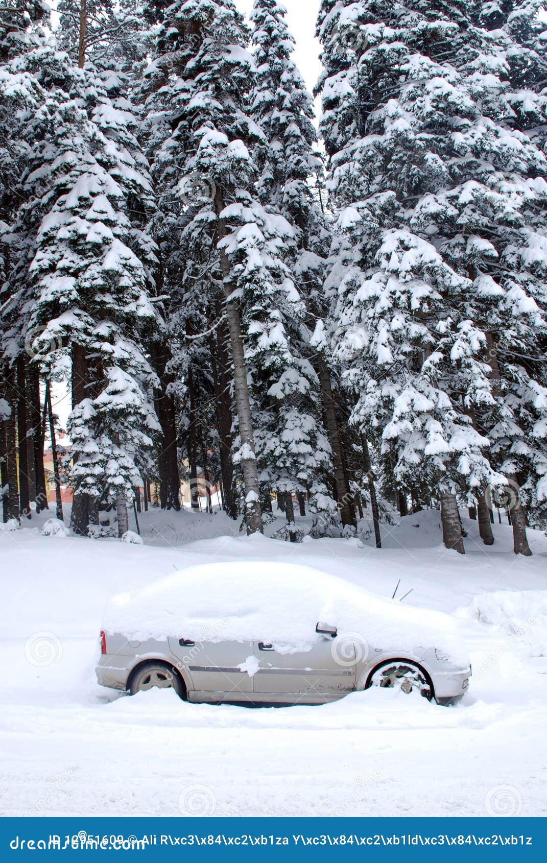 Auto im Schnee stockbild. Bild von haupt, auto, unbeweglich - 12951609