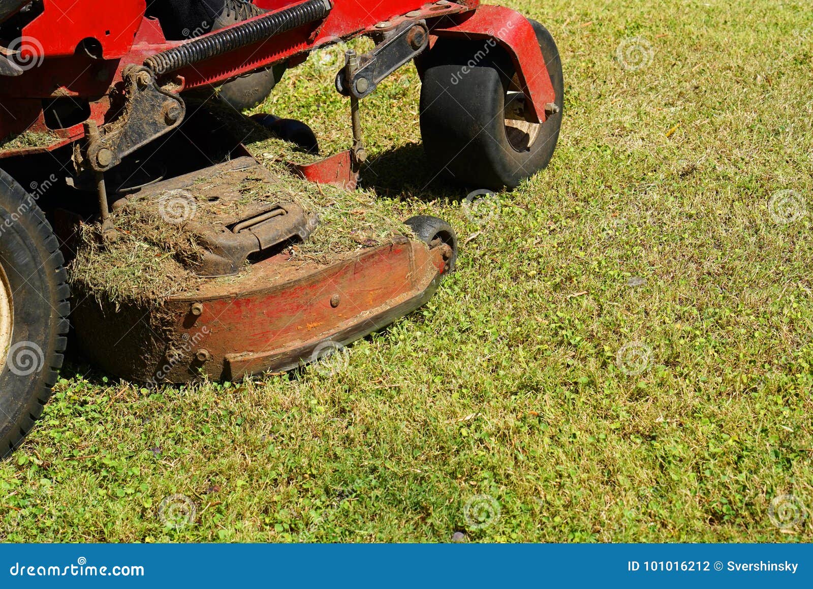 Auto Lawn Mower stock photo. Image of cultivate, device - 101016212