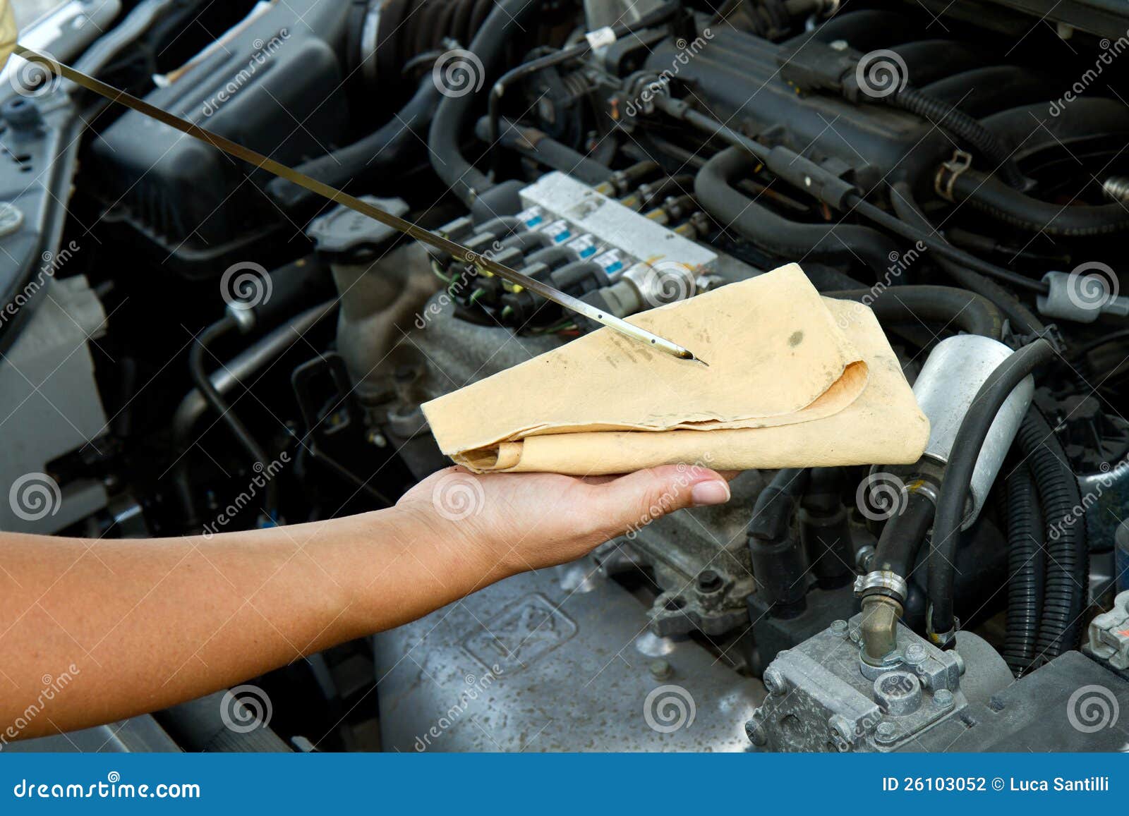 Auto mechanic checking oil stock photo. Image of inspection - 26103052