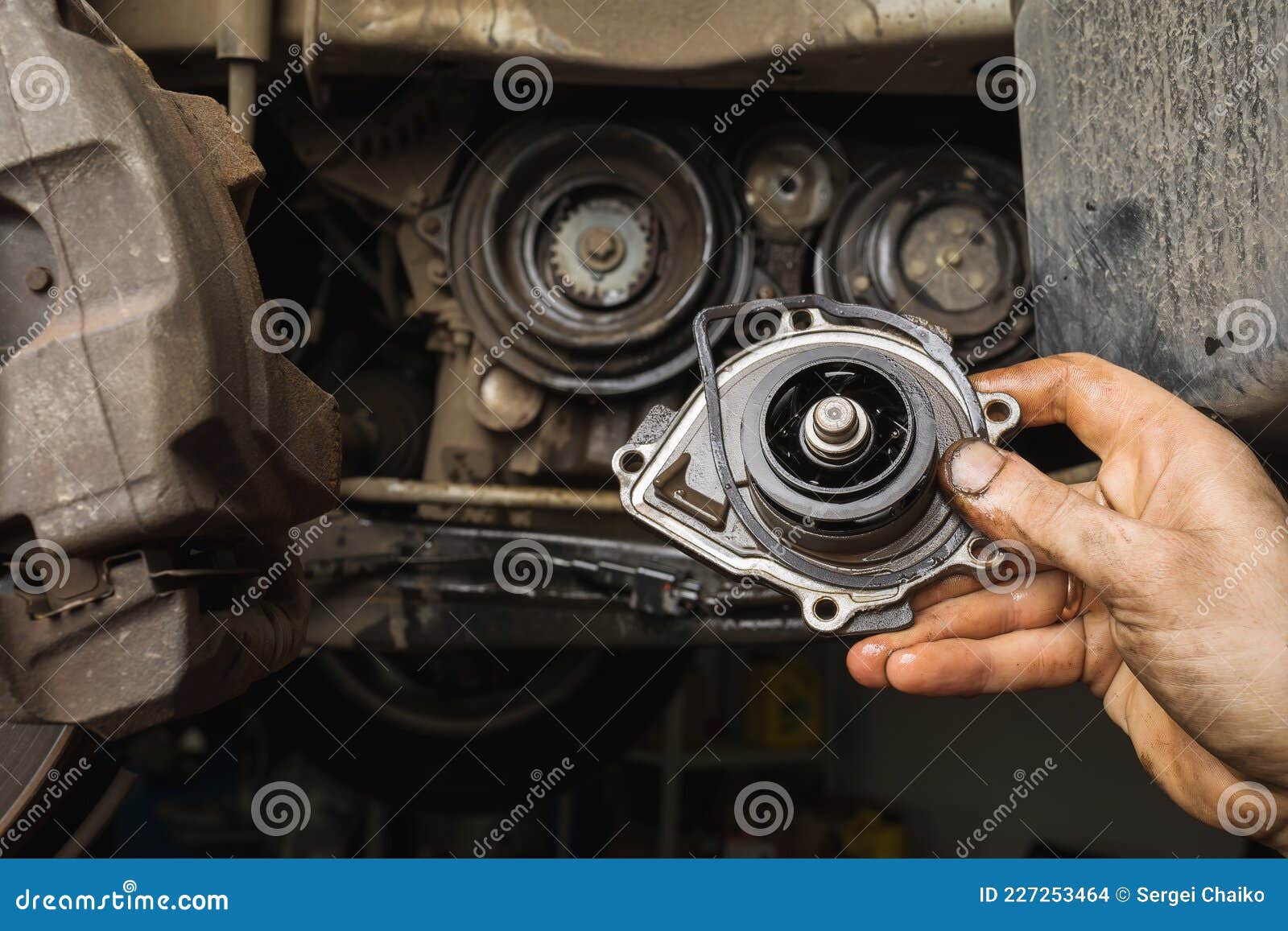 An Auto Mechanic Shows the Removed Old Engine Pump Stock Photo - Image ...