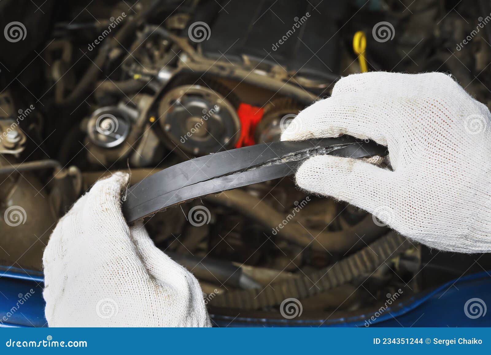 An Auto Mechanic Shows a Timing Belt Burst from the Back Side Stock ...