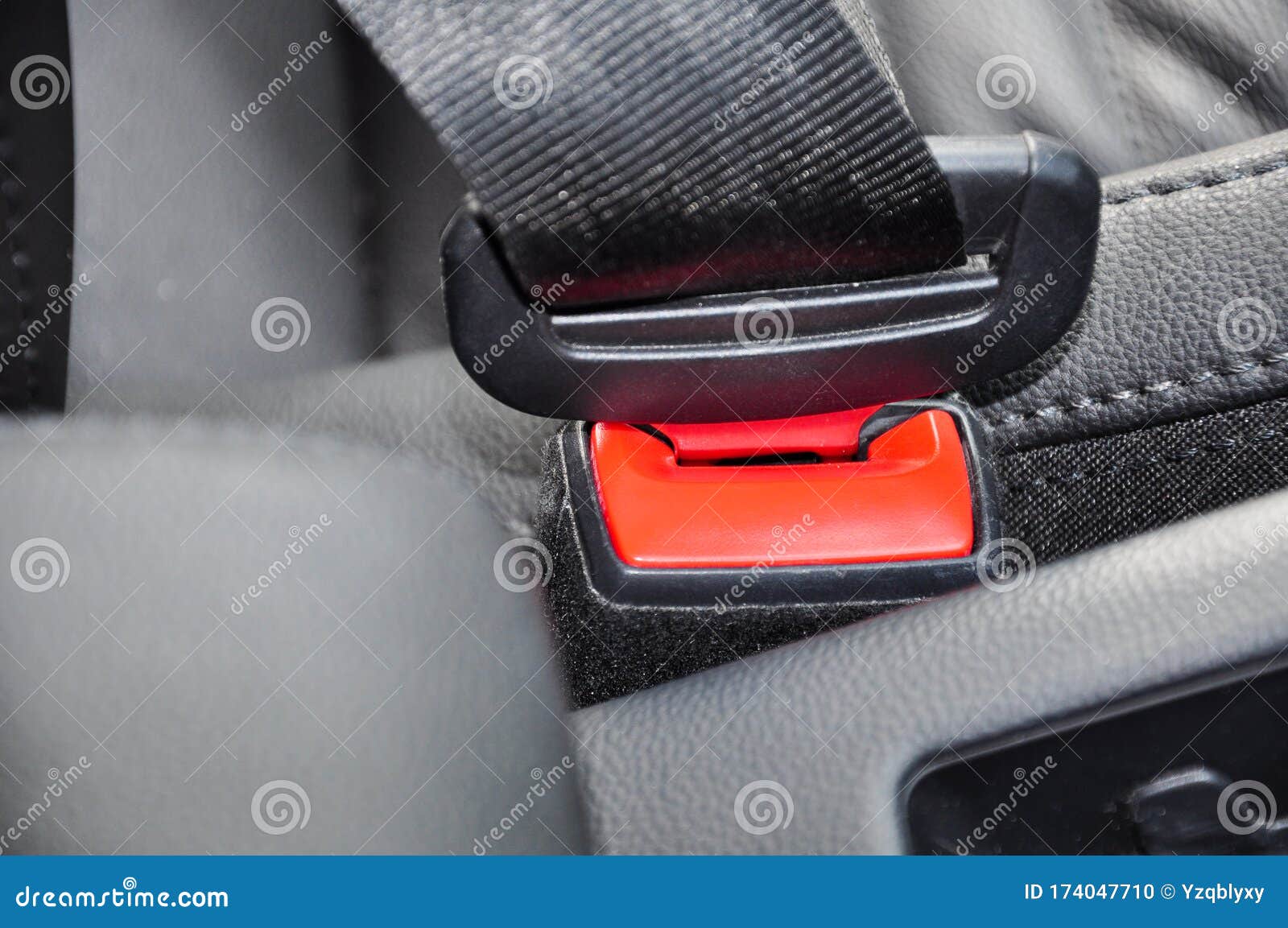 Auto Safety belt stock photo. Image of safety, auto - 174047710