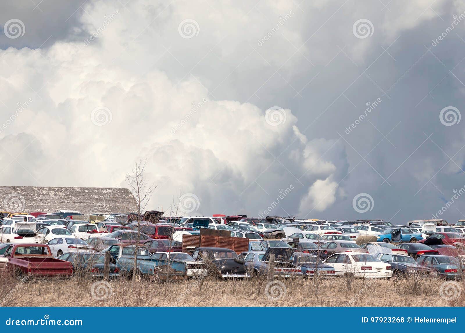 Auto Wreck Junk Yard Full of Vehicles. Stock Photo - Image of metal ...