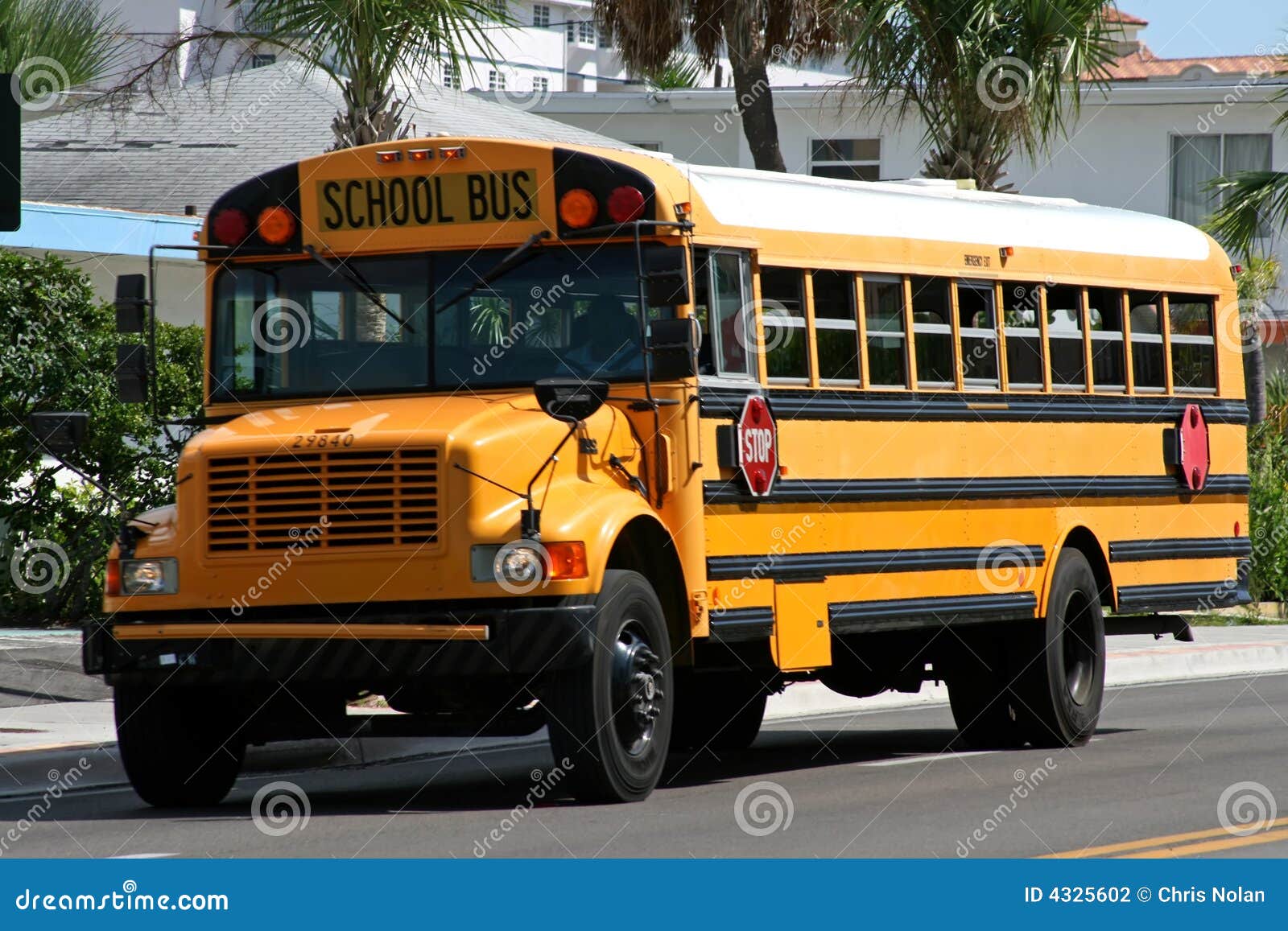 Autobús Escolar Americano Amarillo Foto de archivo - Imagen de ...