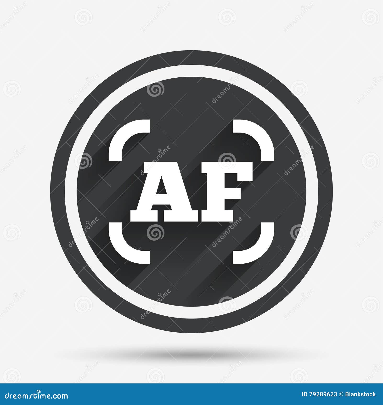 Autofocus Photo Camera Sign Icon. AF Settings. Stock Vector ...