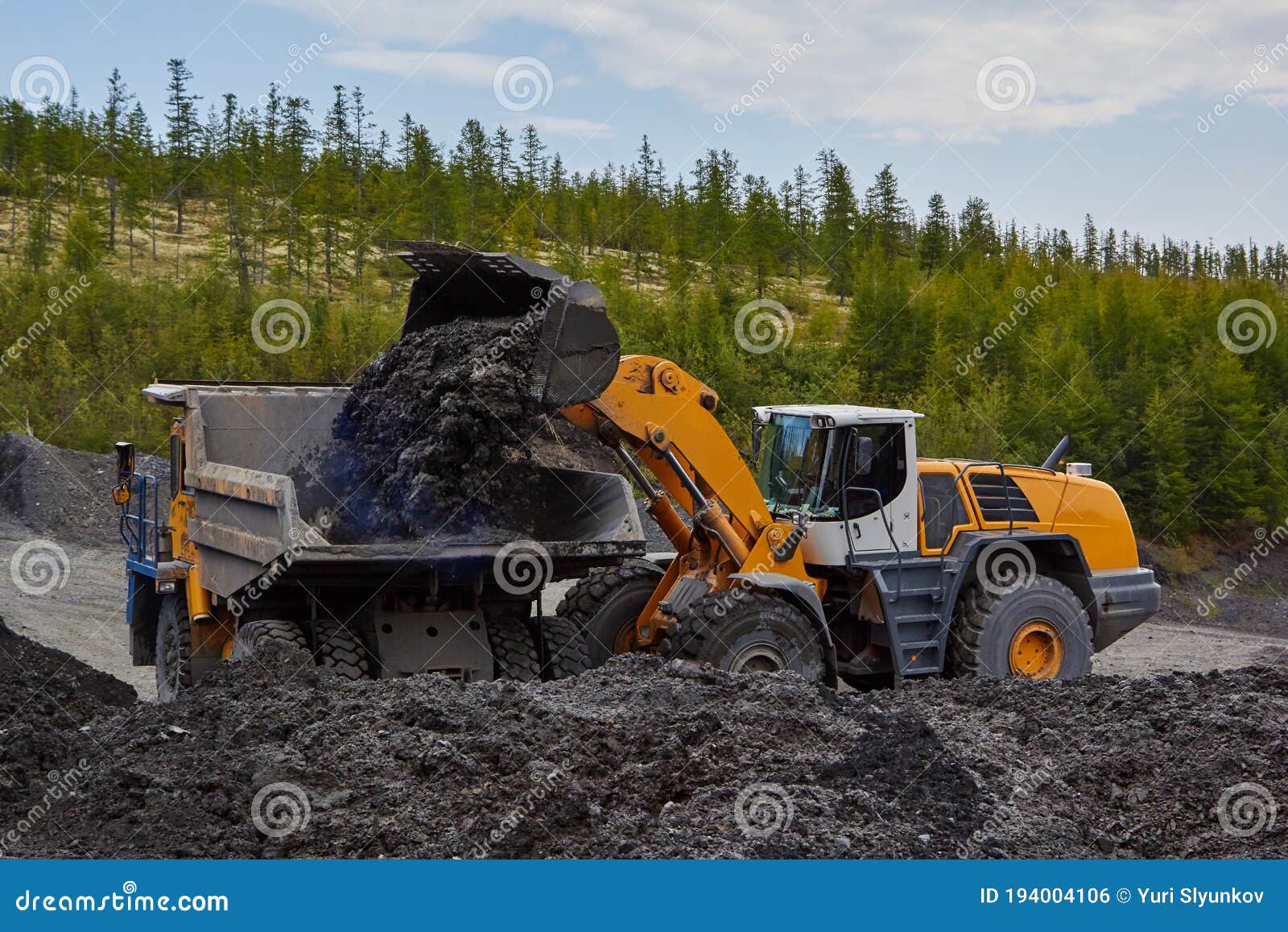Autoloader Loading Gold Sands Onto a Dump Truck. Gold Mining in Kolyma ...
