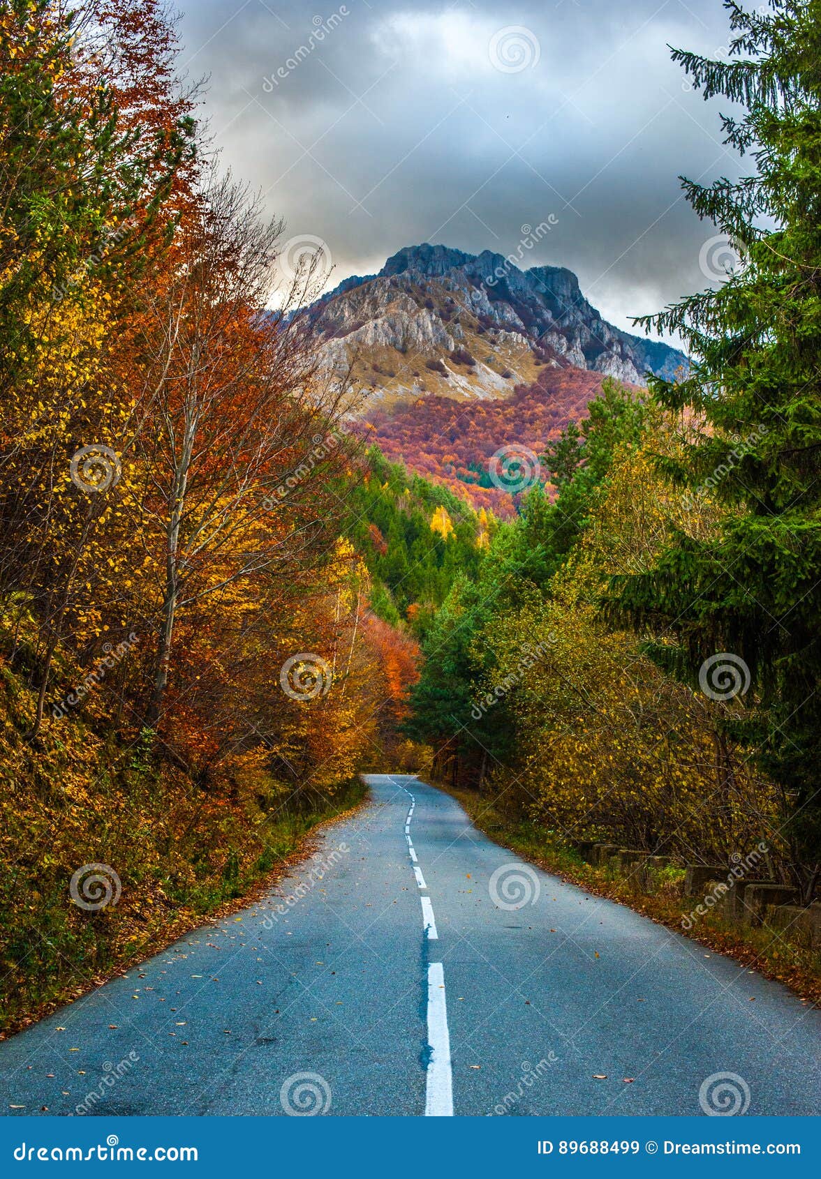 Autom Road stock image. Image of home, city, middle, clouse - 89688499