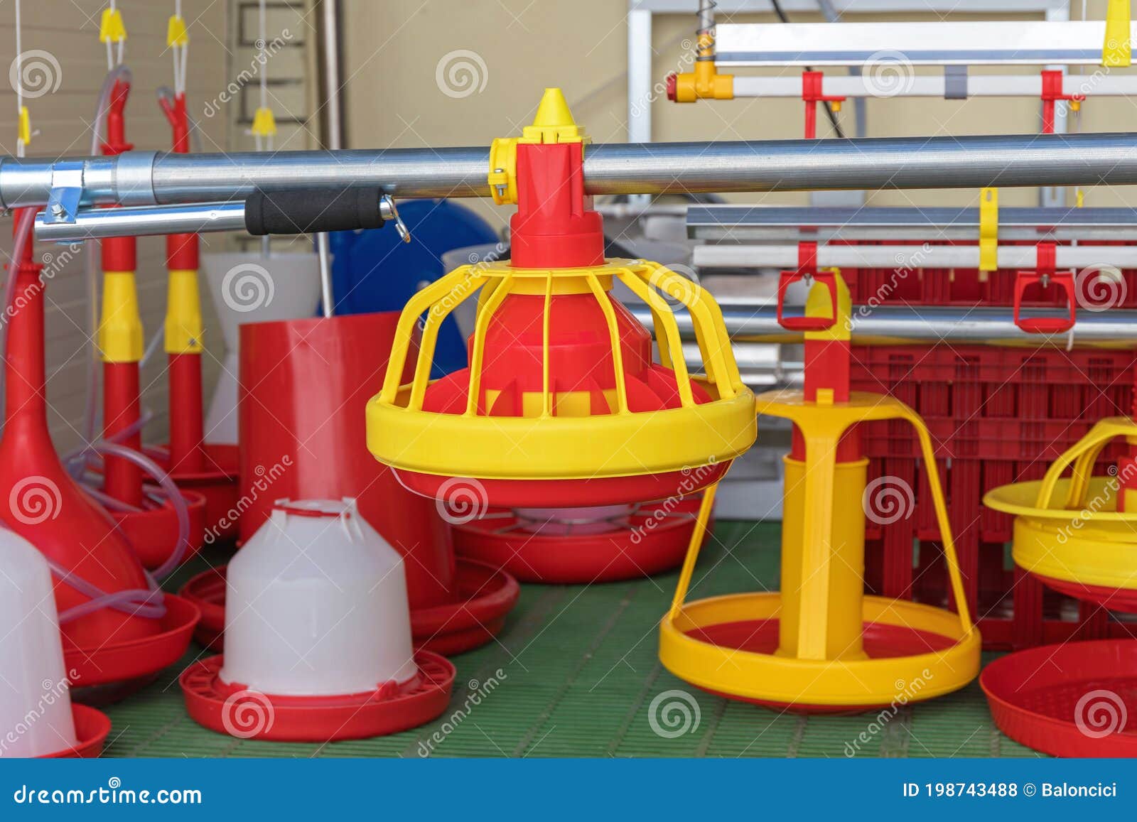 Automated Chicken Feeder stock photo. Image of coop - 198743488