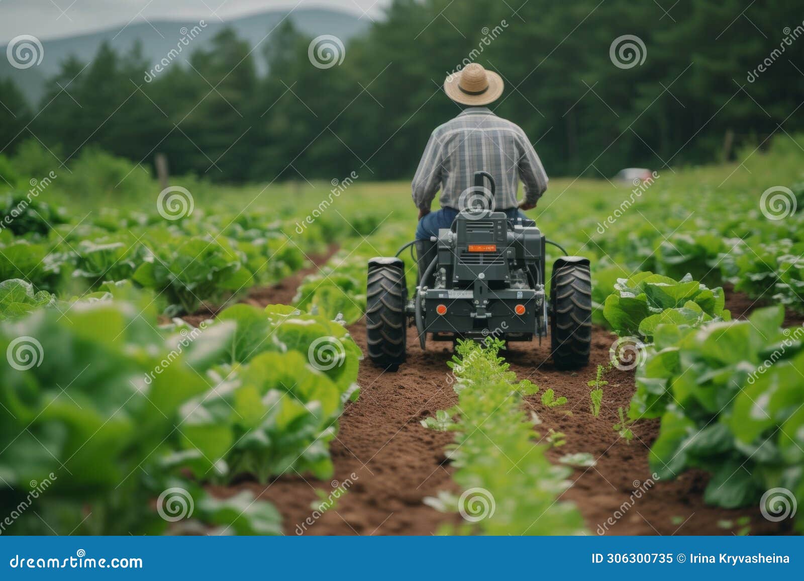 An Automated Farming Robot Working Alongside a Farmer, Increasing ...
