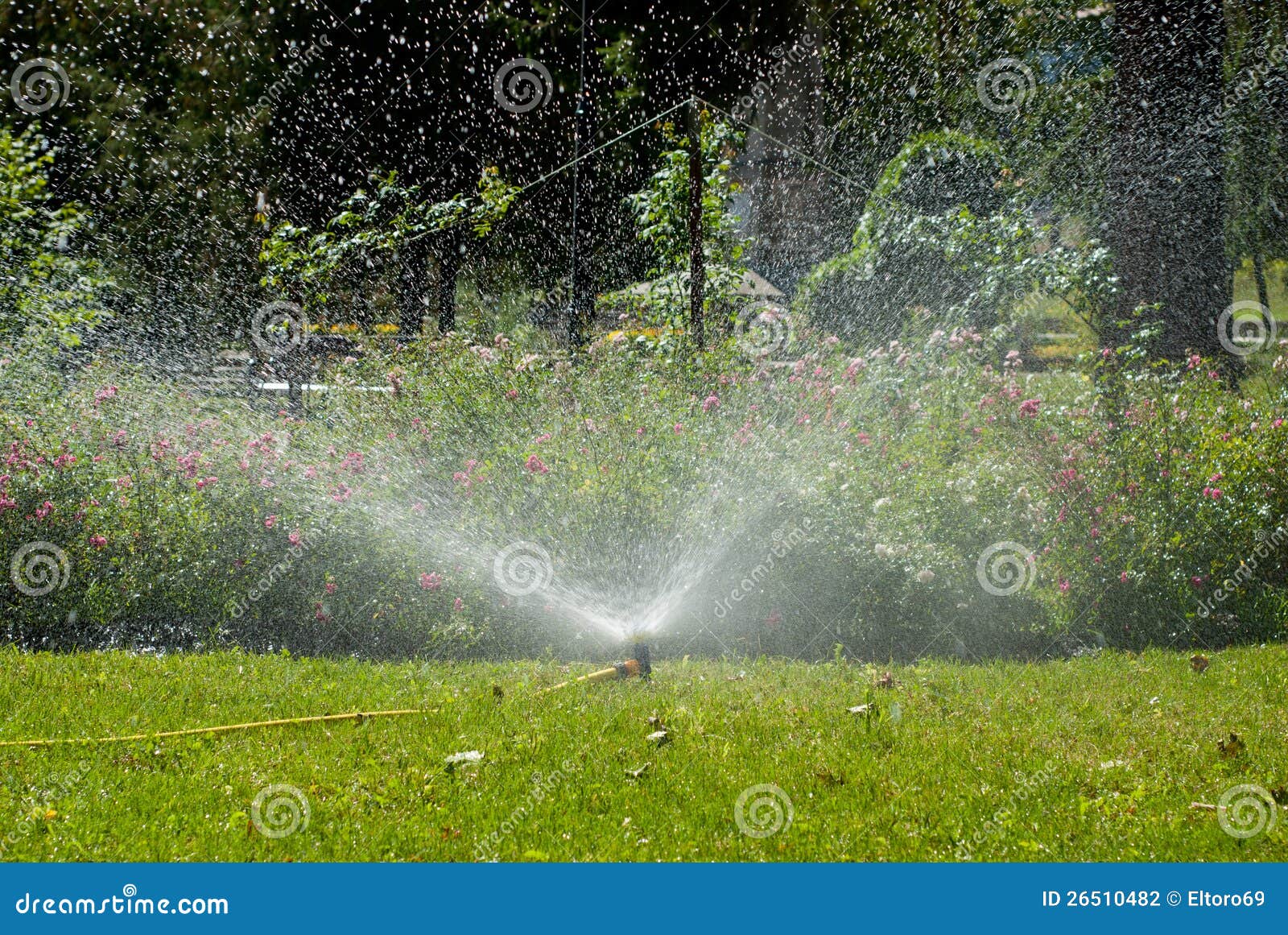 Automated Irrigation System Stock Photo - Image of plant, agriculture ...