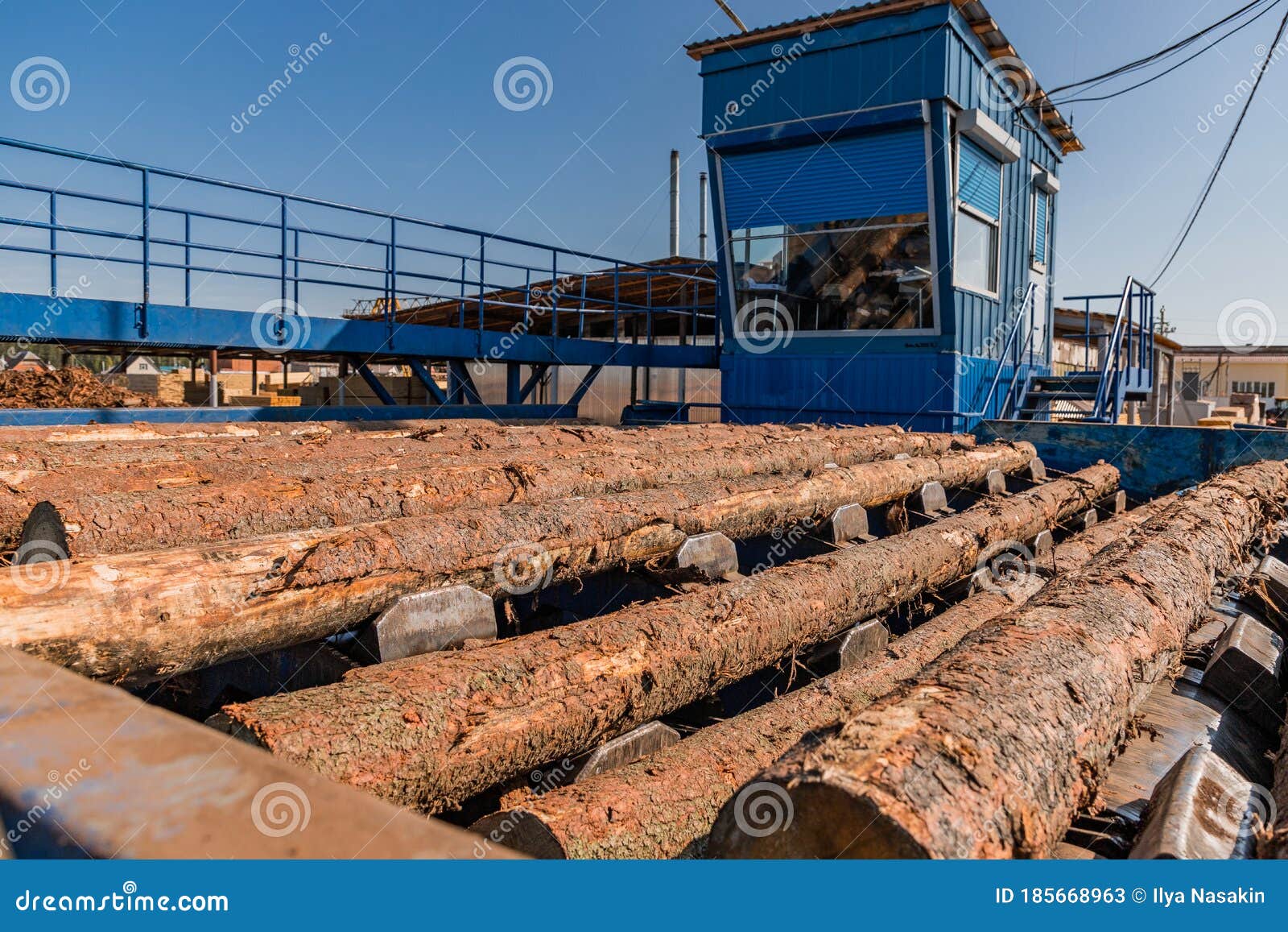 Round Timber Logs Preparation Sorting Processing at Sawmill. Wheel ...