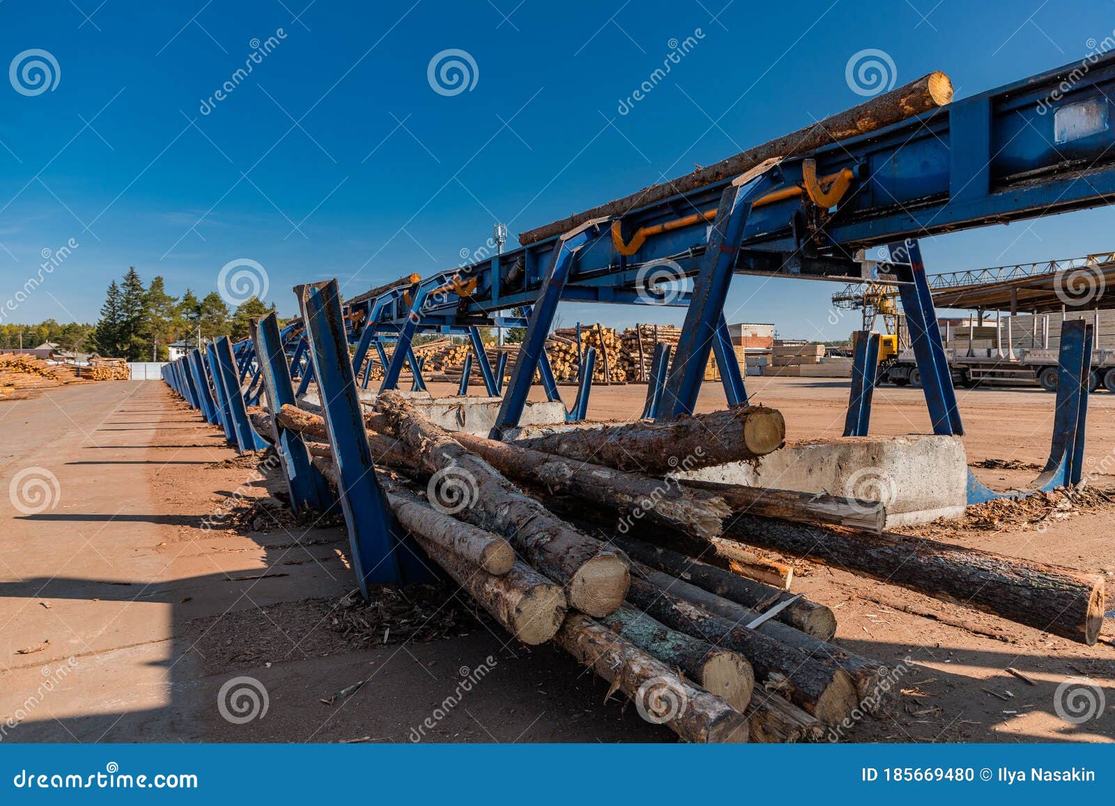 Round Timber Logs Preparation Sorting Processing at Sawmill. Wheel ...