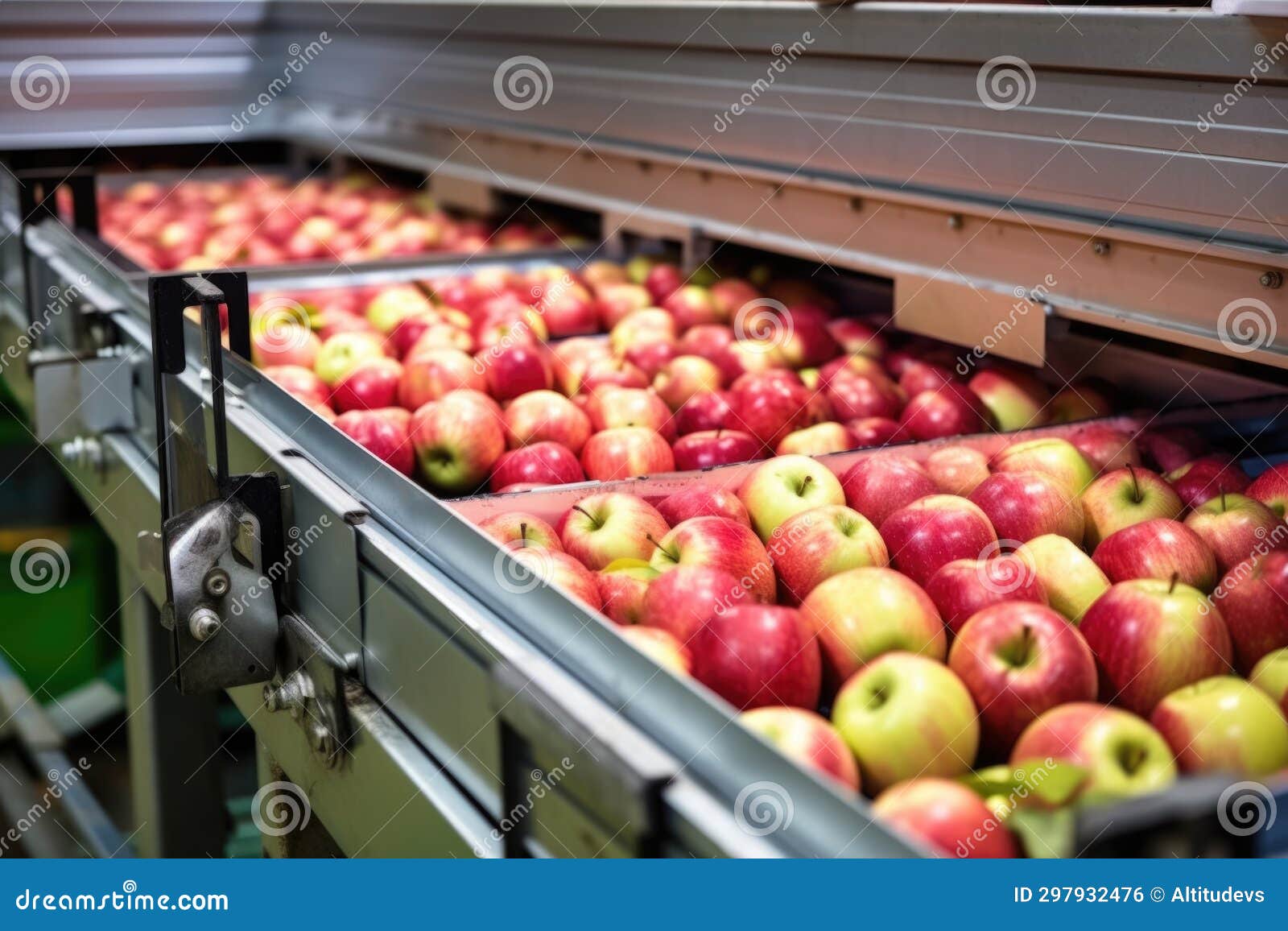 Automated Packaging of Freshly Picked Apples Stock Photo - Image of ...