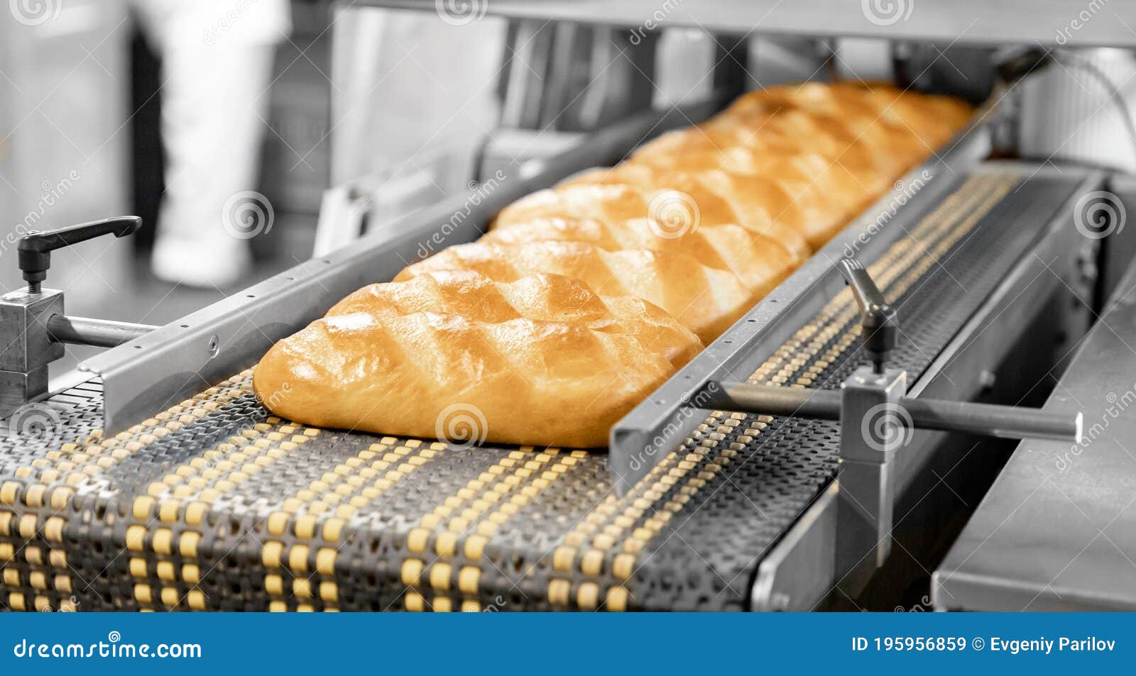 Automated Production Line Bakery Fresh Hot Baked Breads Stock Image ...