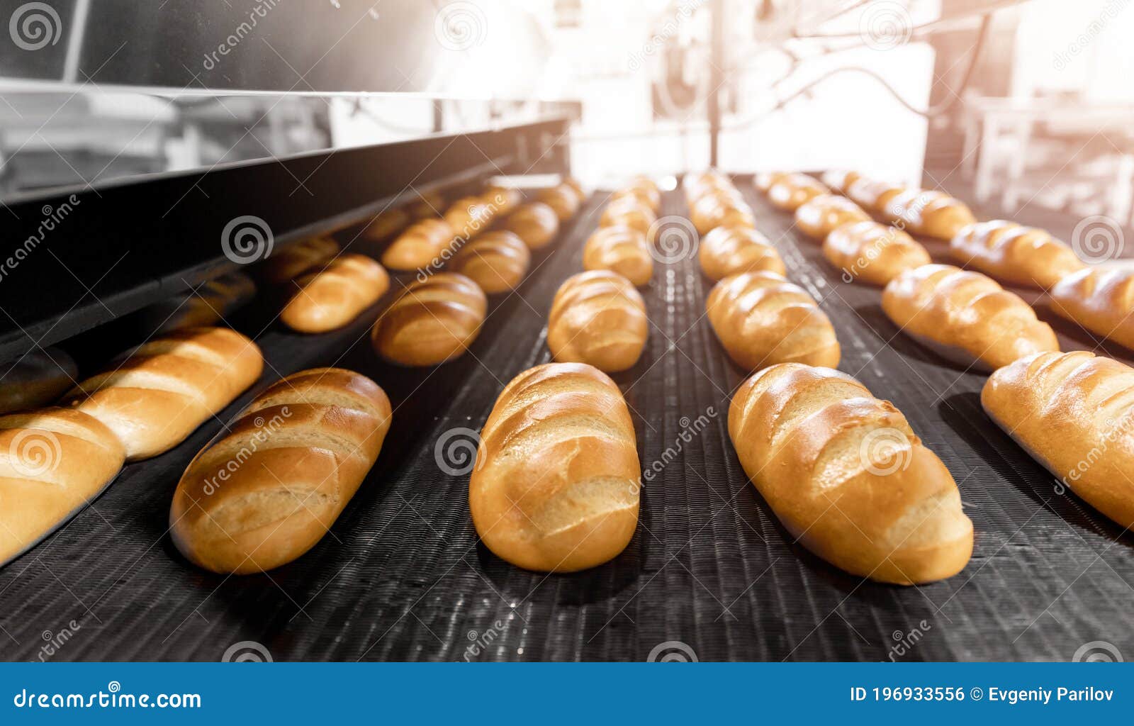 Automated Production Line Bakery Fresh Hot Baked Breads Stock Photo ...