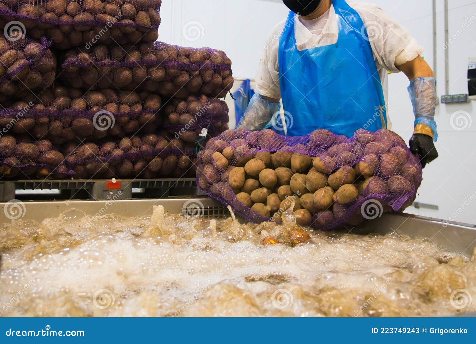 Automated Production for Sorting, Processing and Storage of Potatoes ...