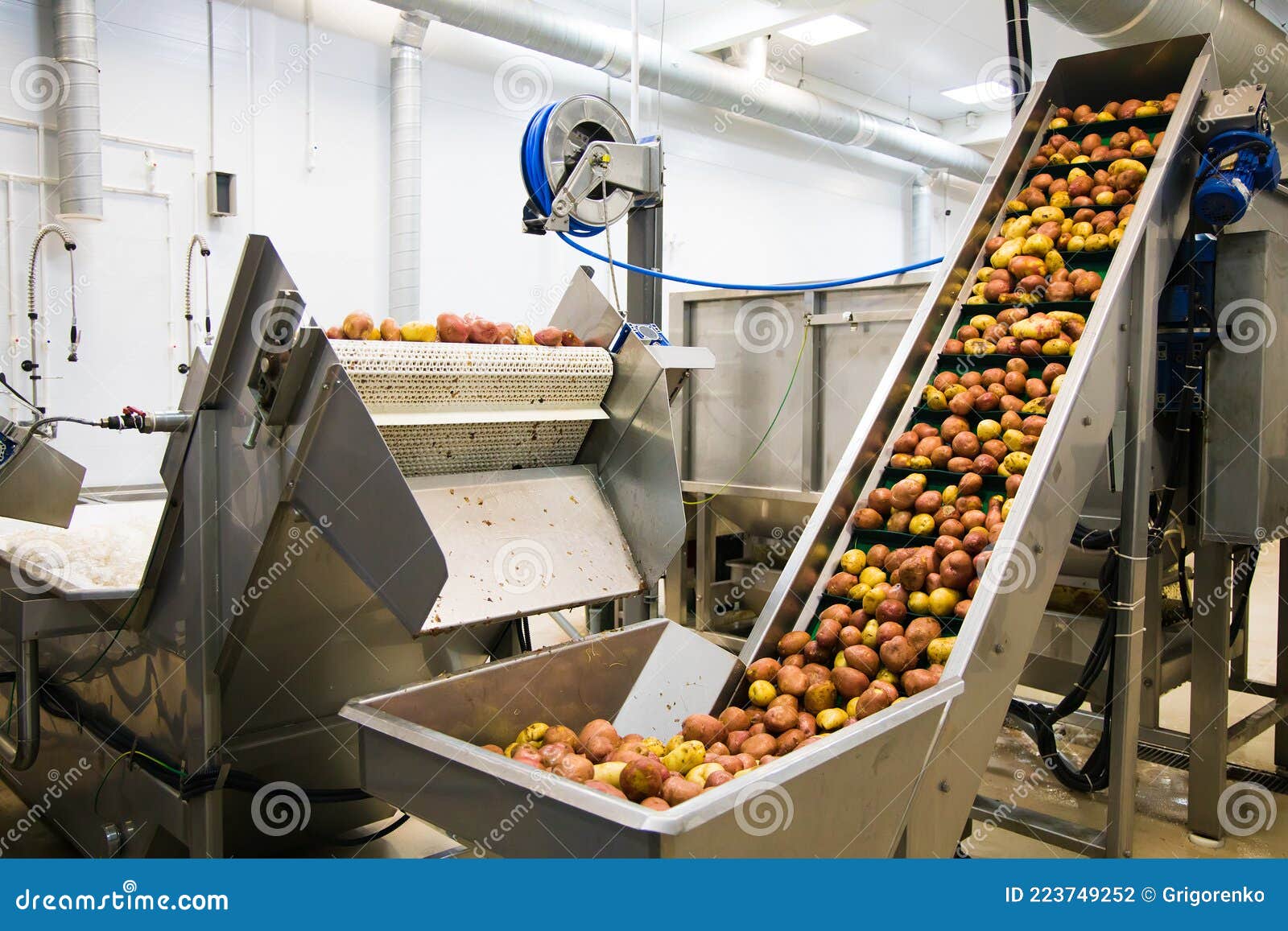 Automated Production for Sorting, Processing and Storage of Potatoes Stock Photo - Image of ...