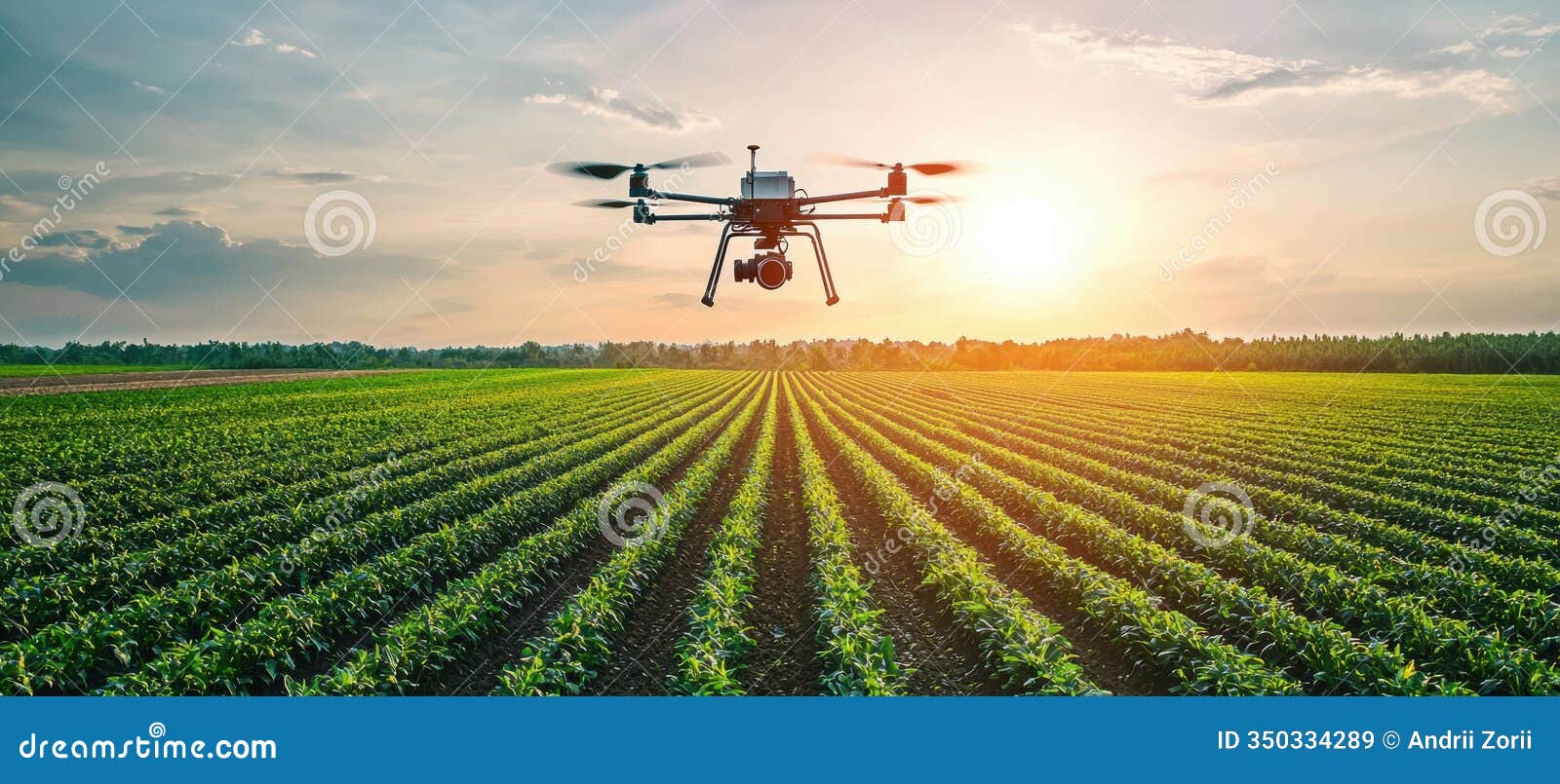 Automated Weeding Machine in Action: Precision and Eco-Friendly Farming ...