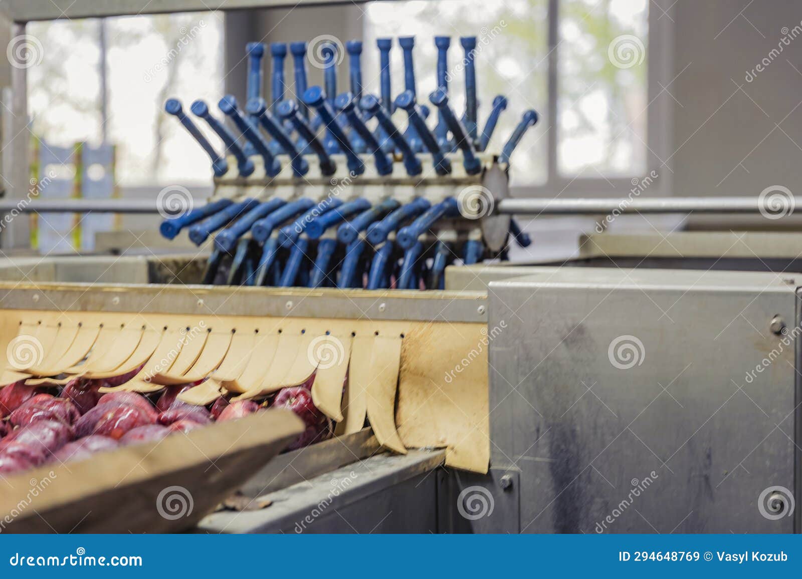 Automatic Apple Picking Line Stock Image - Image of warehouse, flumes ...