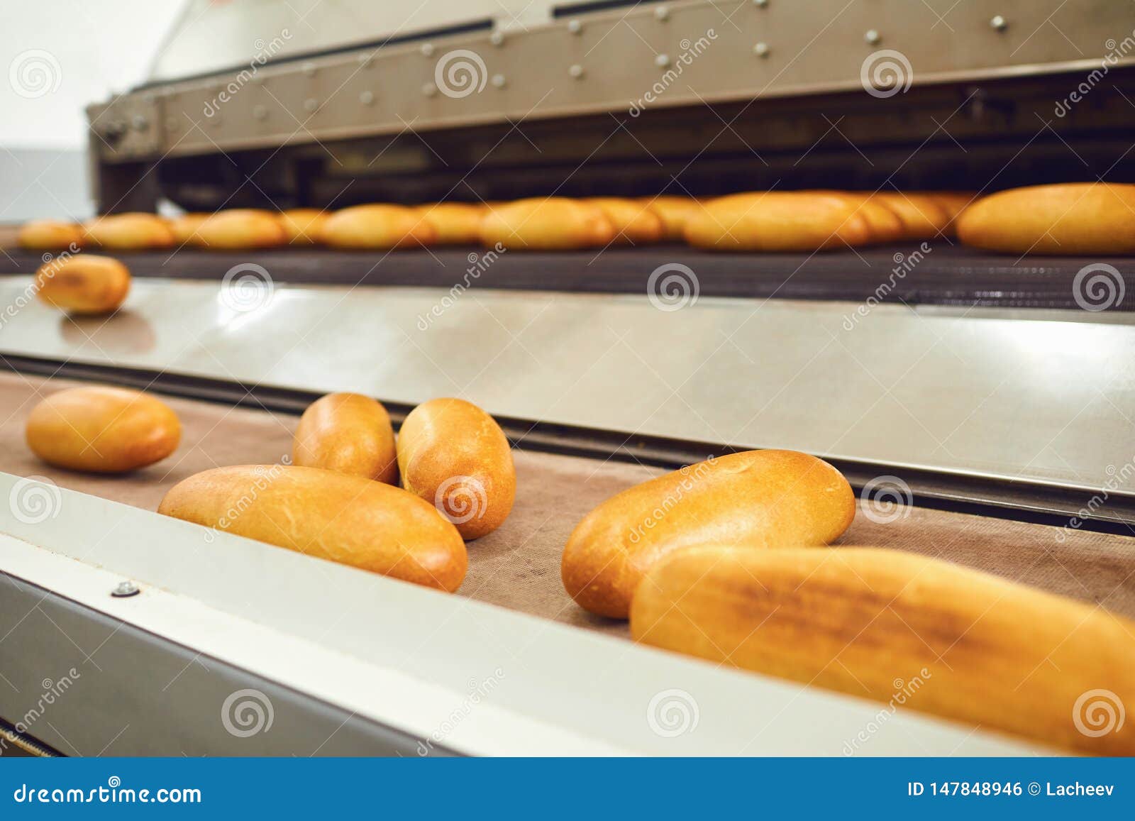 Automatic Bakery Production Line with Bread in Bakery Factory Stock ...
