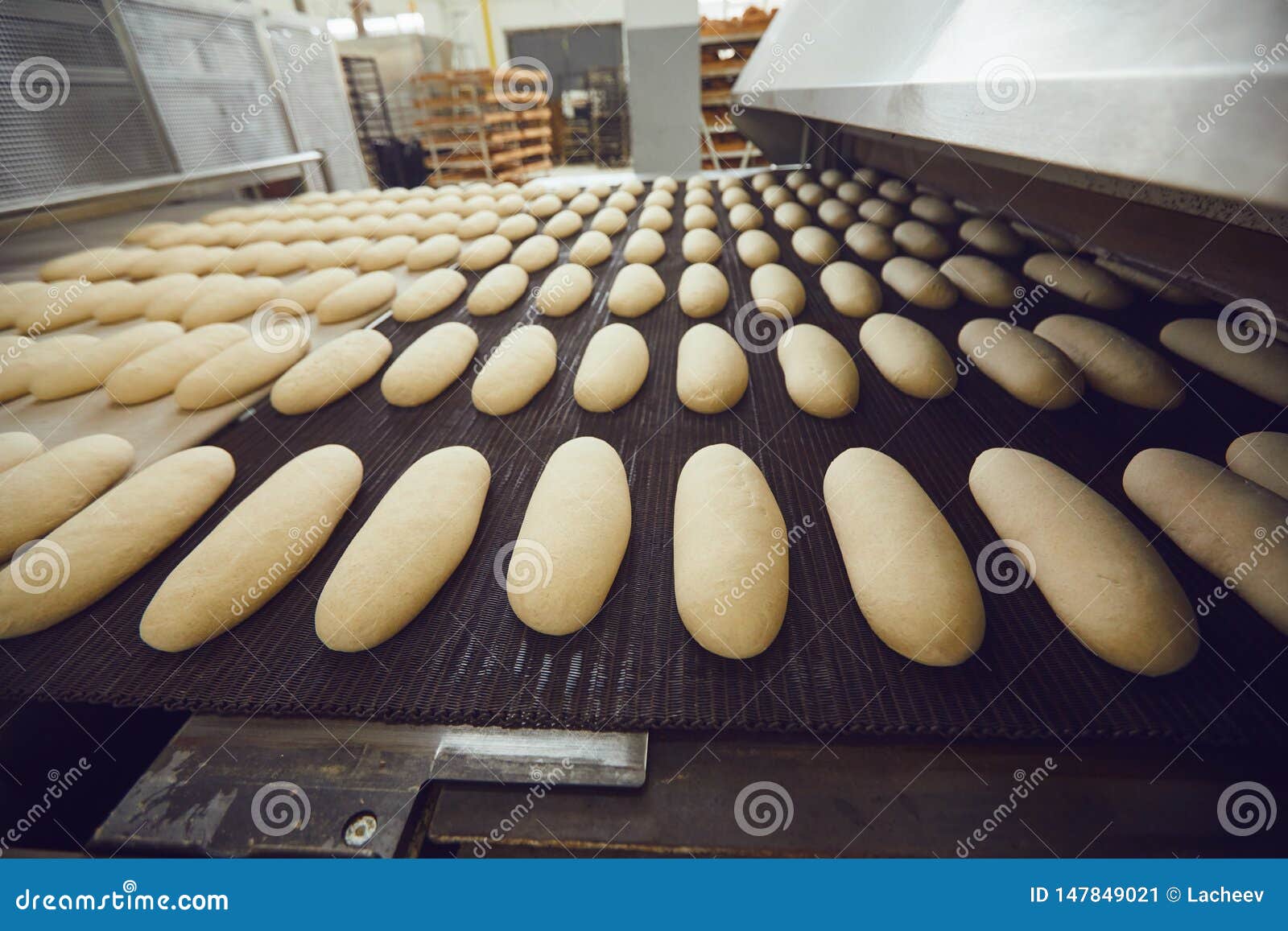 Automatic Bakery Production Line with Bread in Bakery Factory Stock ... Automatic Bakery Production Line with Bread in Bakery Factory Stock ...