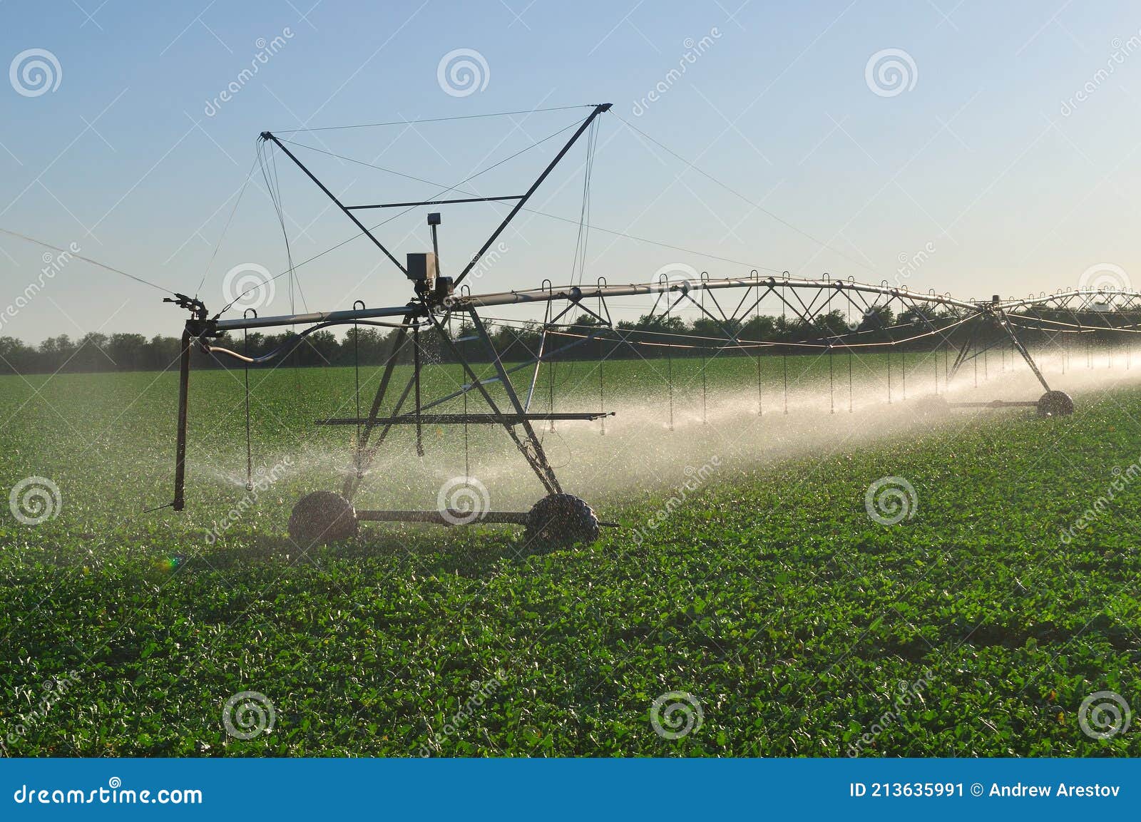 Automatic Irrigation System in the Field Stock Image - Image of growing ...