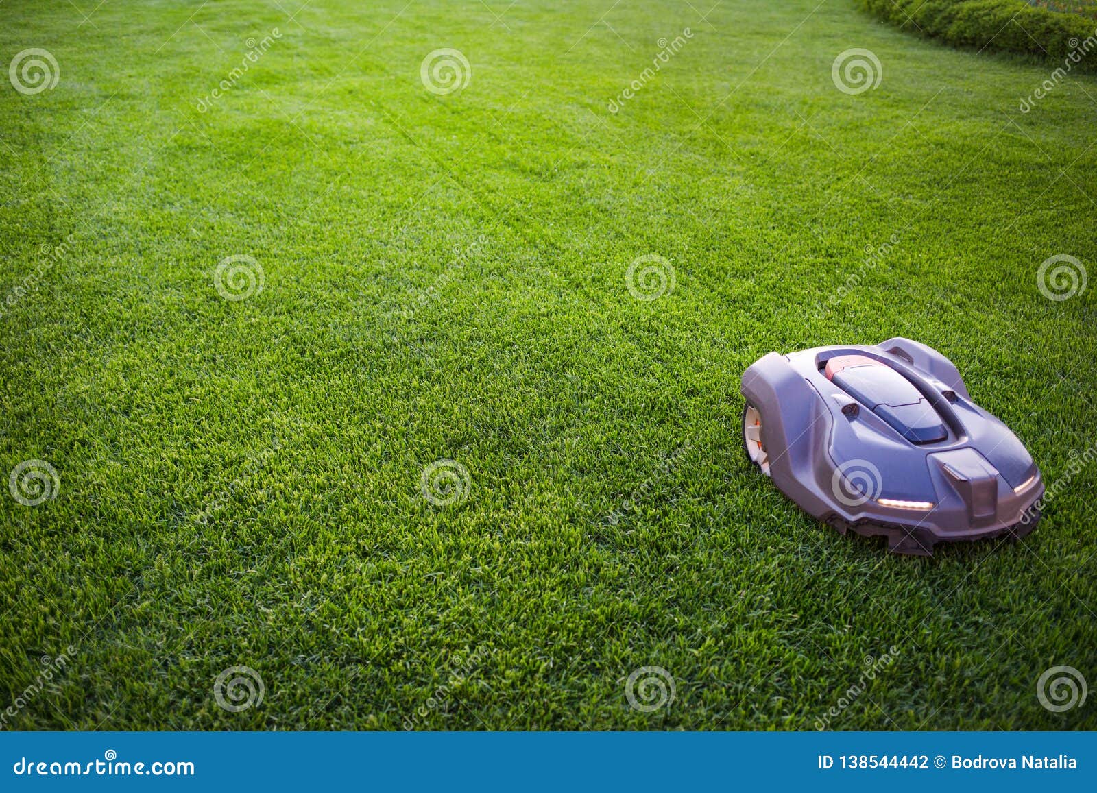 Automatic Lawn Mower Robot Moves on the Grass, Lawn. Side View from ...
