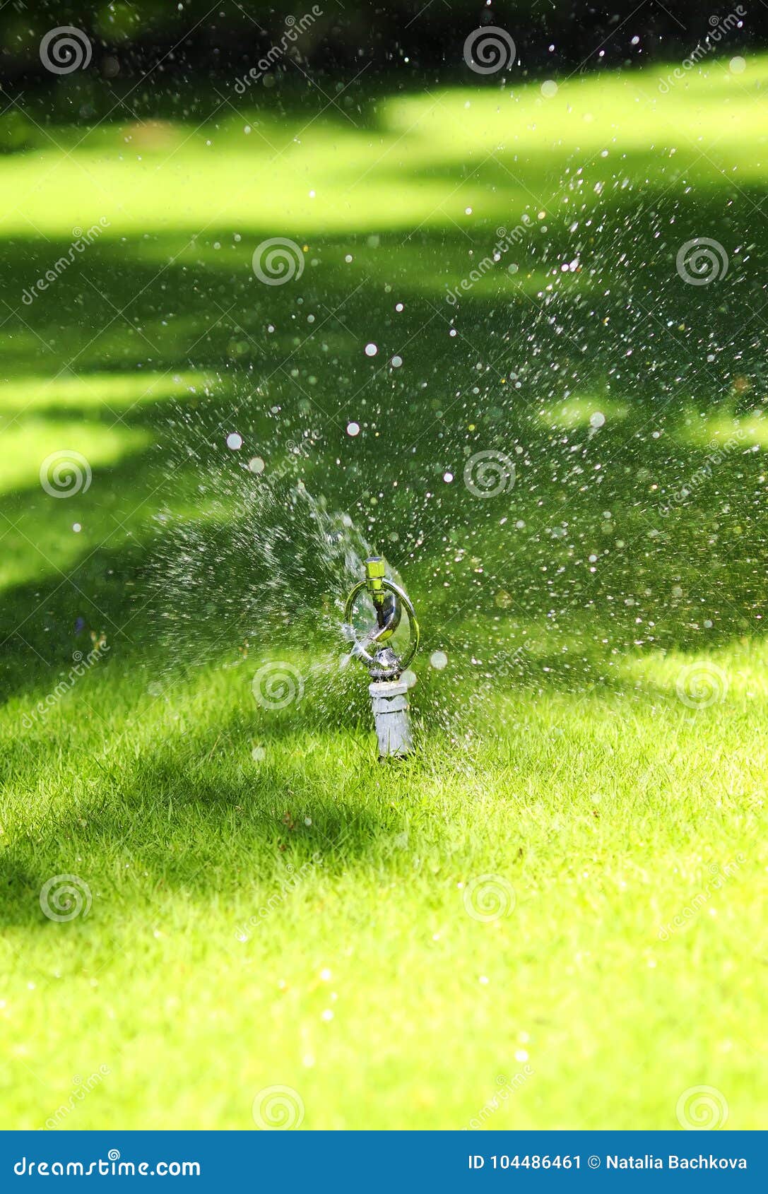 Automatic Lawn Sprinkler System Sprays the Drops of Water Under Stock ...