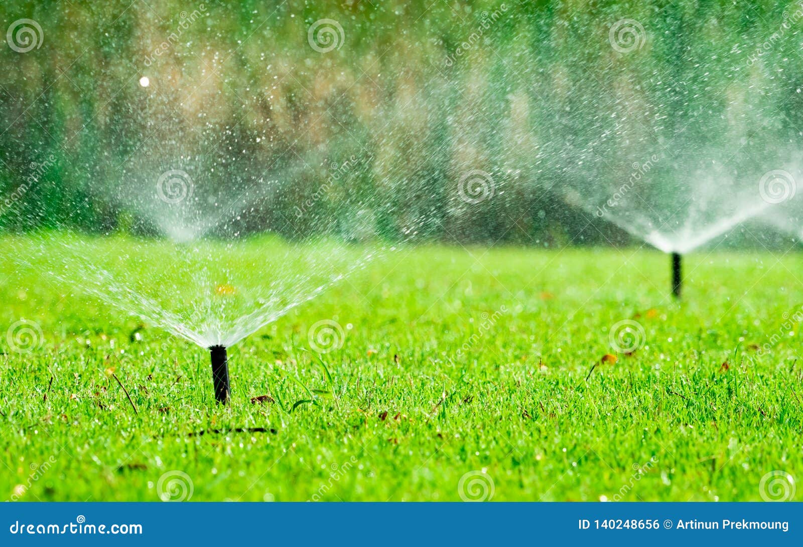Automatic Lawn Sprinkler Watering Green Grass. Sprinkler with Automatic ... Automatic Lawn Sprinkler Watering Green Grass. Sprinkler with Automatic ...