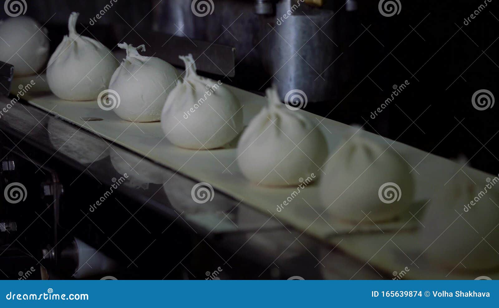 Automatic Machine Production Process at a Dumpling Factory. Fresh Raw ...