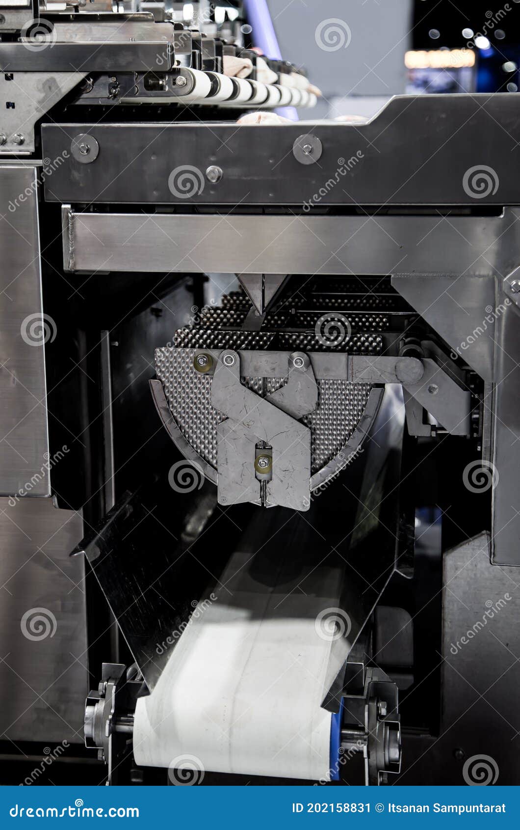 Automatic Meat Weight Sorting Machine Stock Image - Image of chicken ...