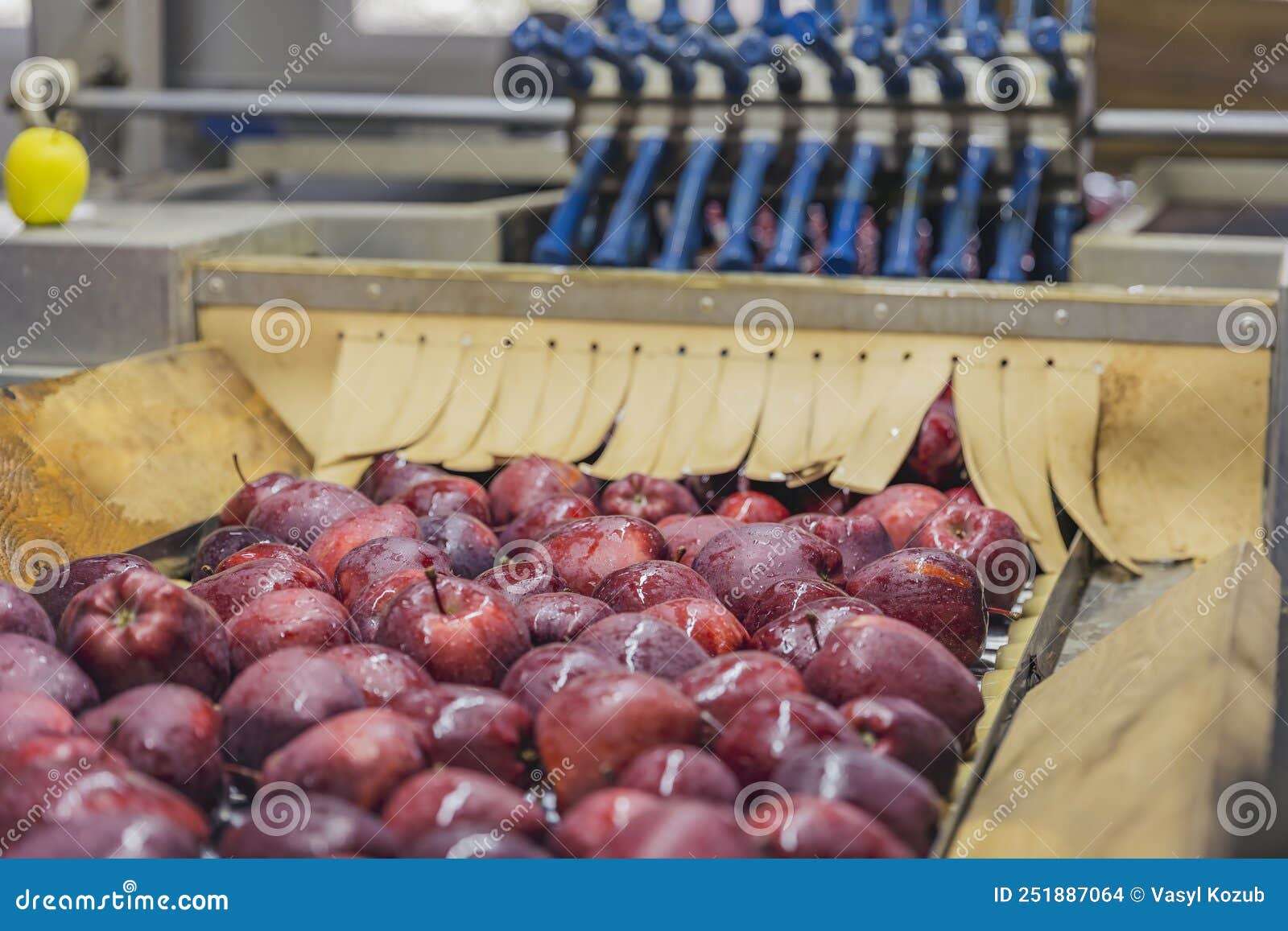 Automatic Movement of Apples Stock Photo - Image of vitamin, august ...