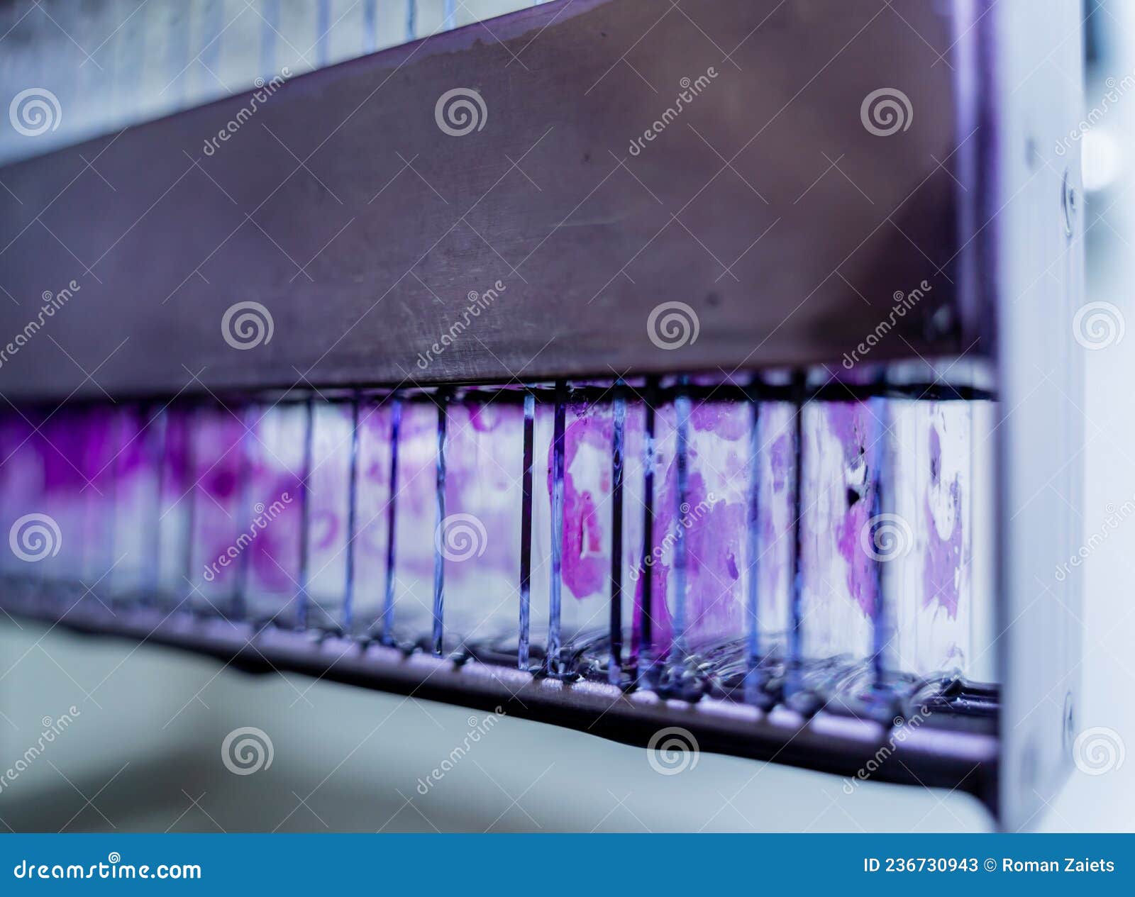 Automatic Multi Slides Stainer at the Modern Laboratory Stock Image ...