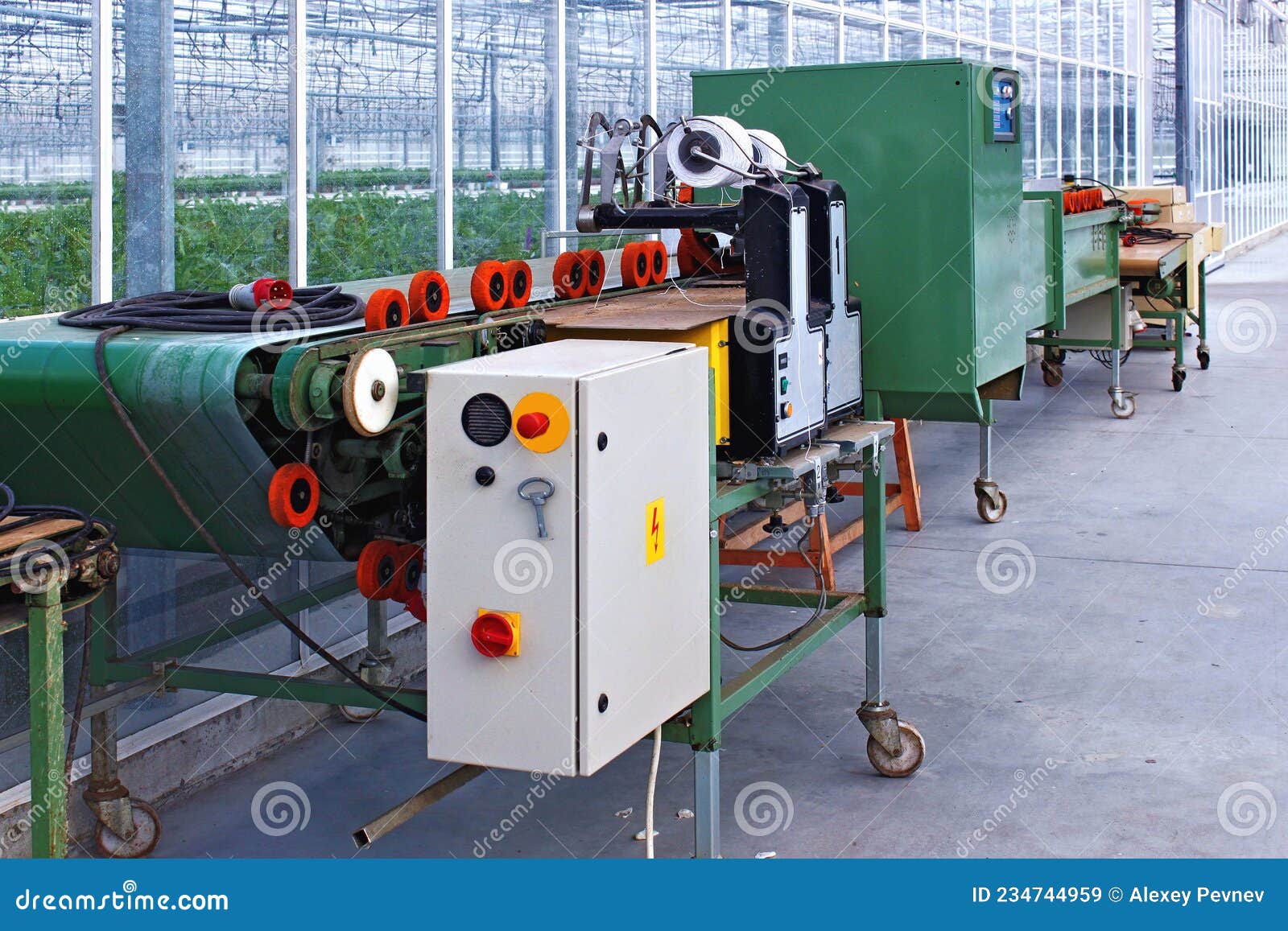 Automatic Packaging Line with Flower Processing Machine in the Nursery ...