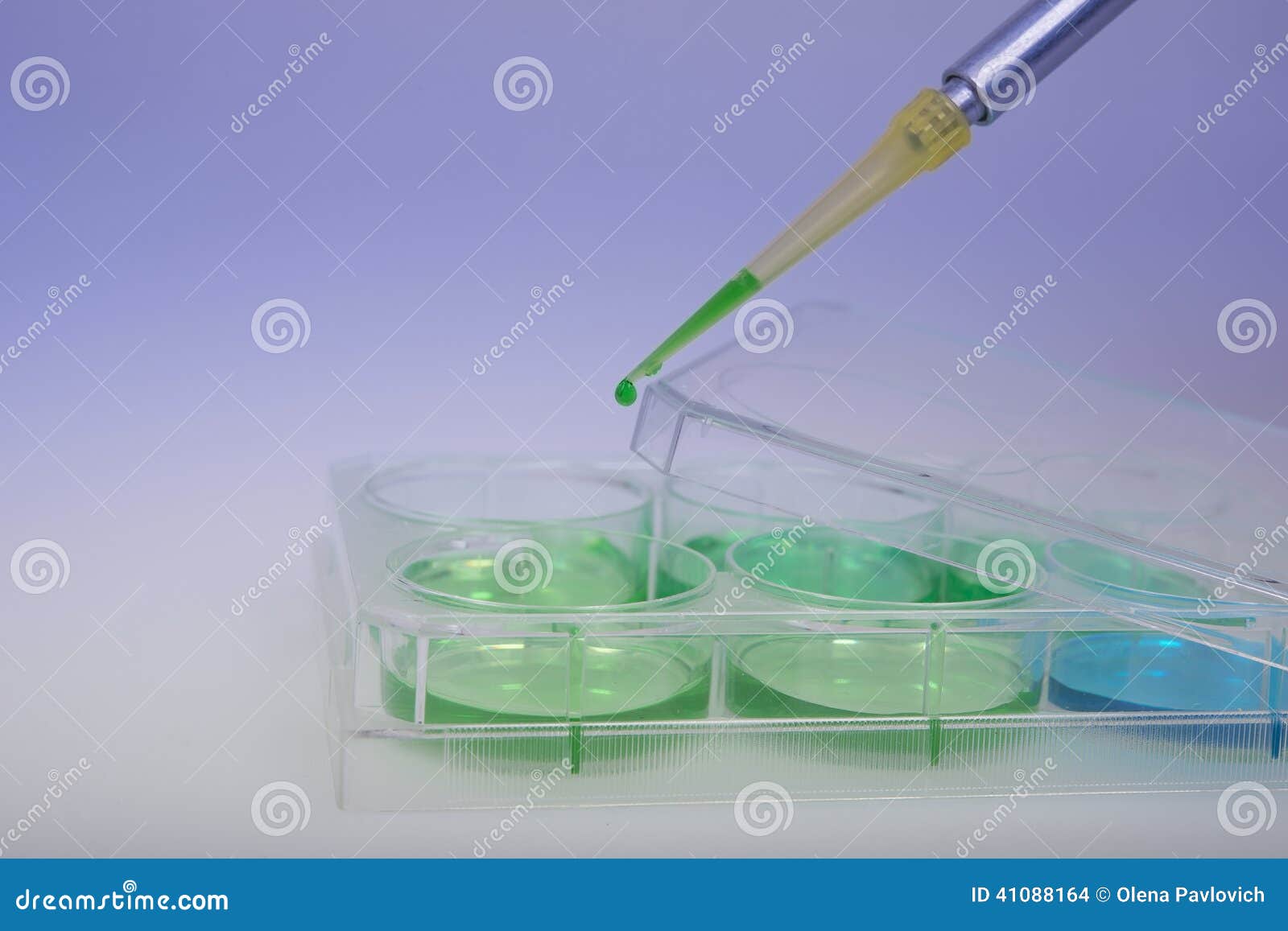 Automatic Pipette with Drop of Solution Over 6-well Plates, Stock Photo ...