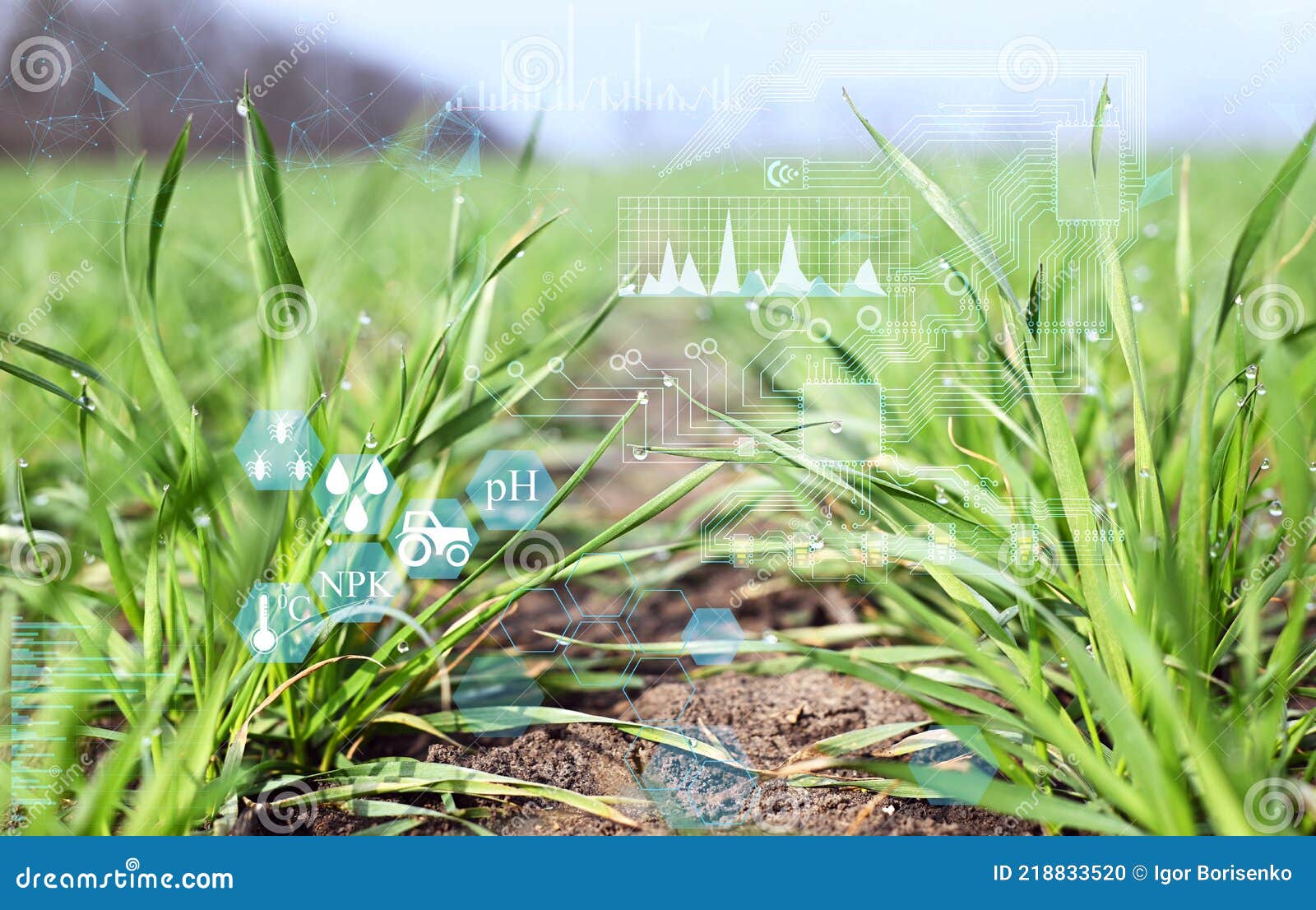 Automatic Plant Growth Control without Human Intervention Monitoring ...