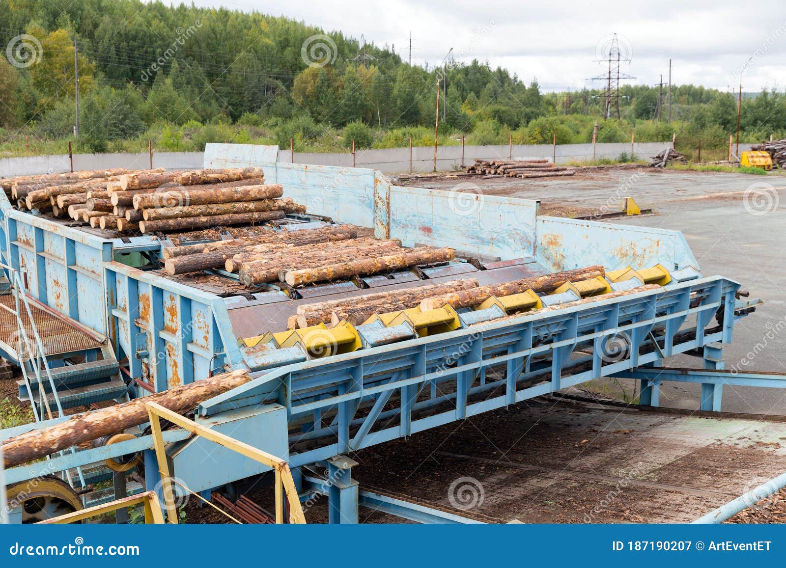 Automatic Sorting Logs Diameter at Sawmill Stock Image - Image of ...