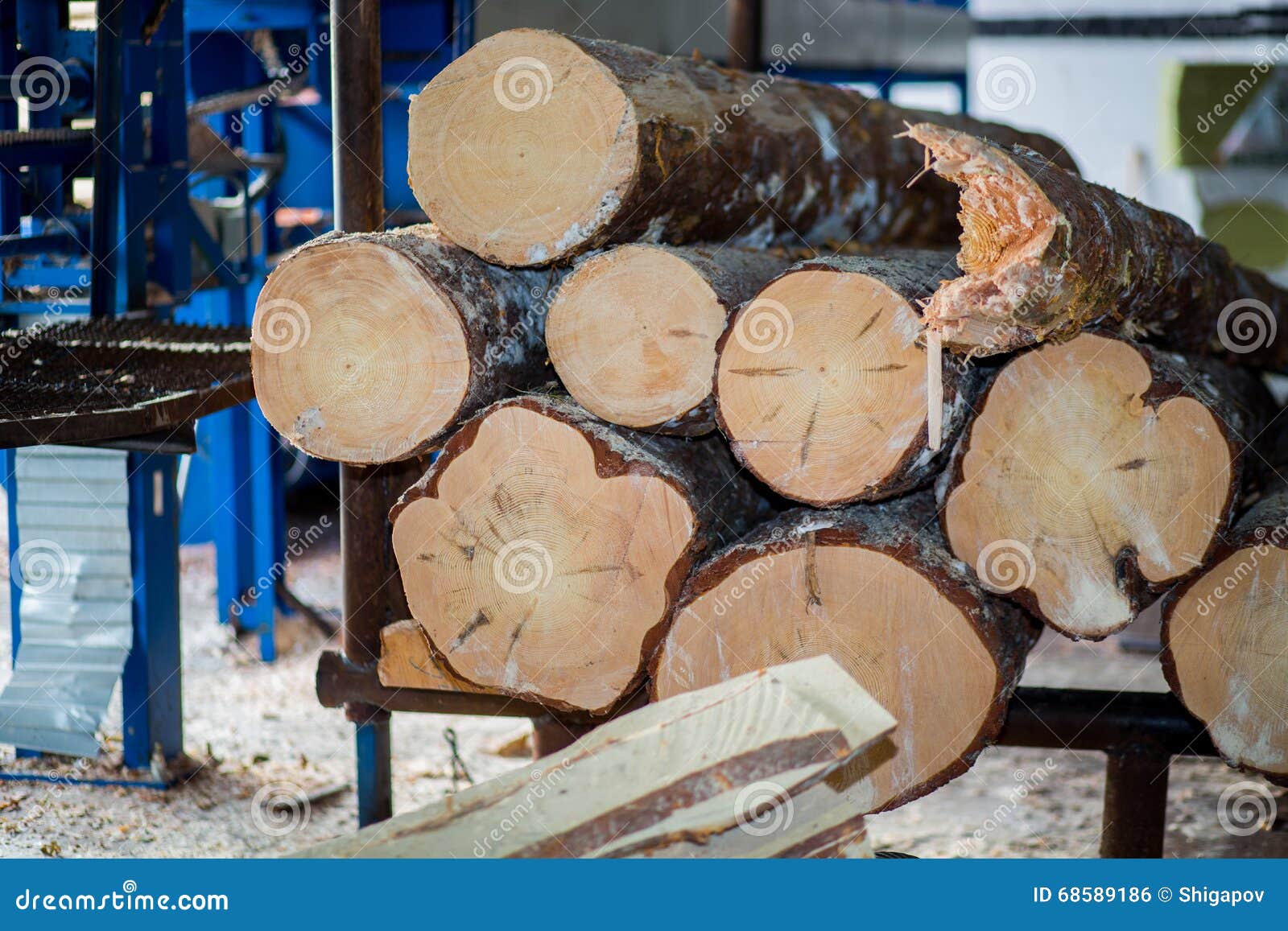 Automatic Sorting Logs Diameter Stock Photo - Image of loader ...