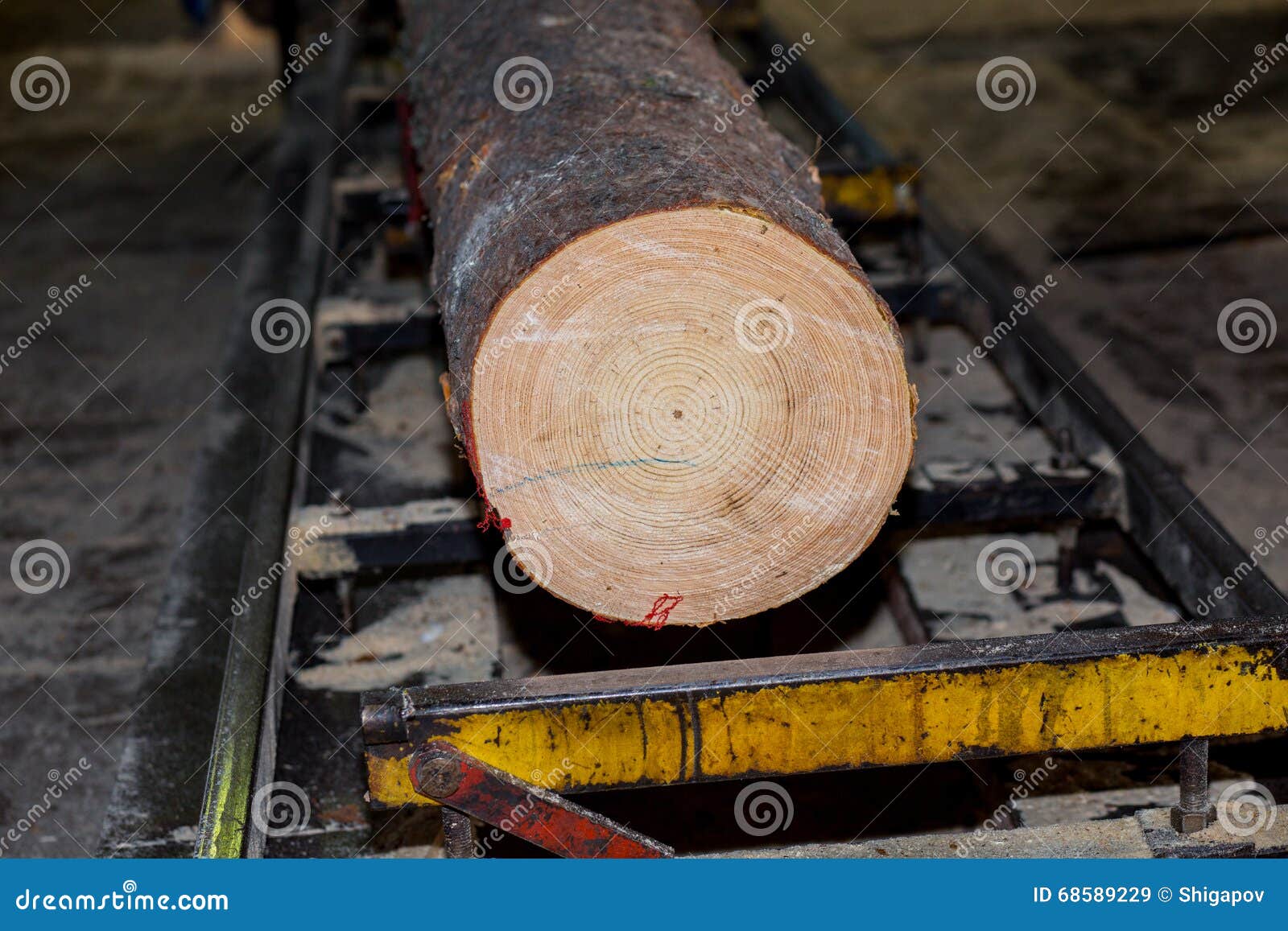 Automatic Sorting Logs Diameter Stock Image - Image of lumbermill ...