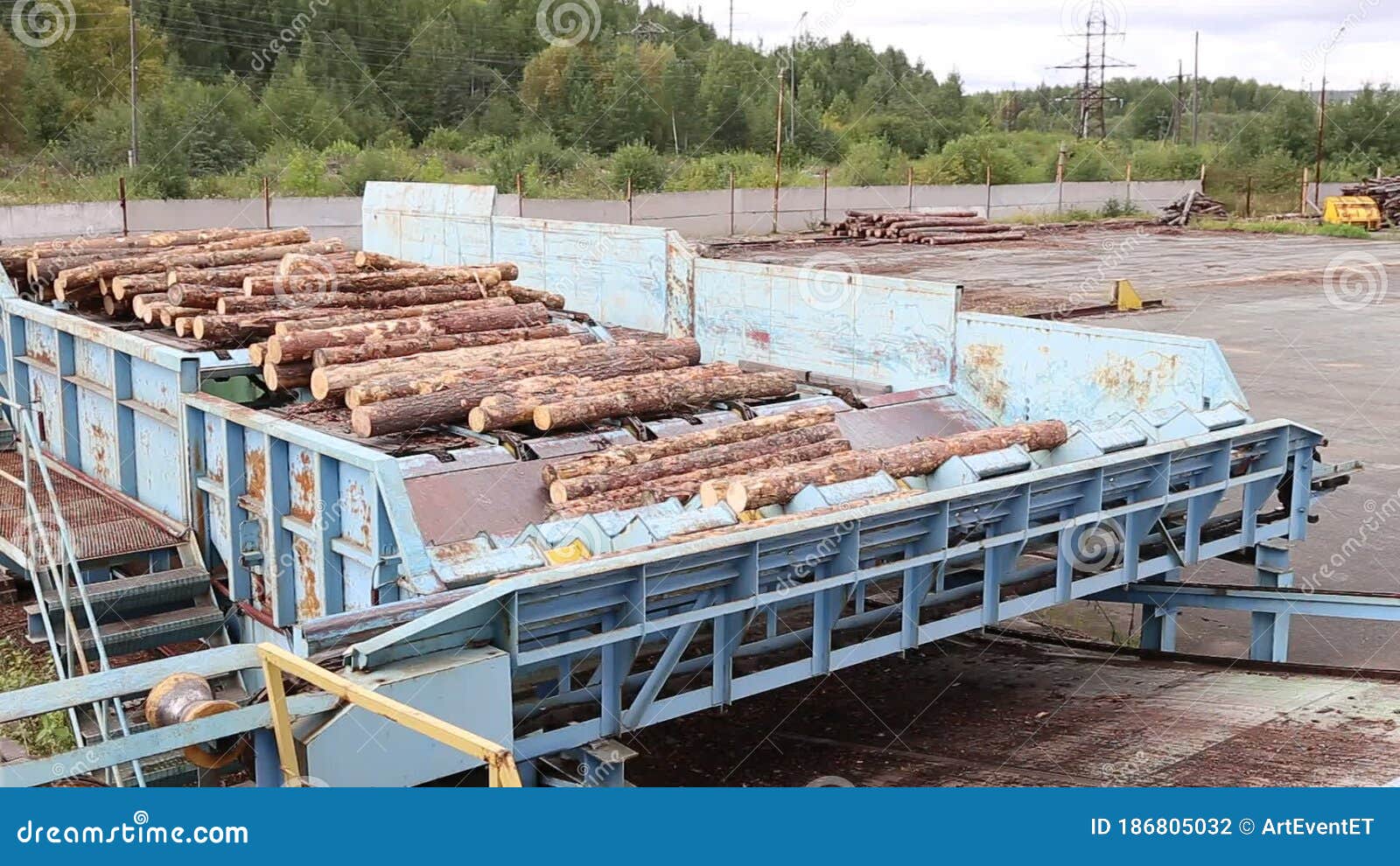 Automatic Sorting Logs Diameter at Sawmill Stock Footage - Video of ...