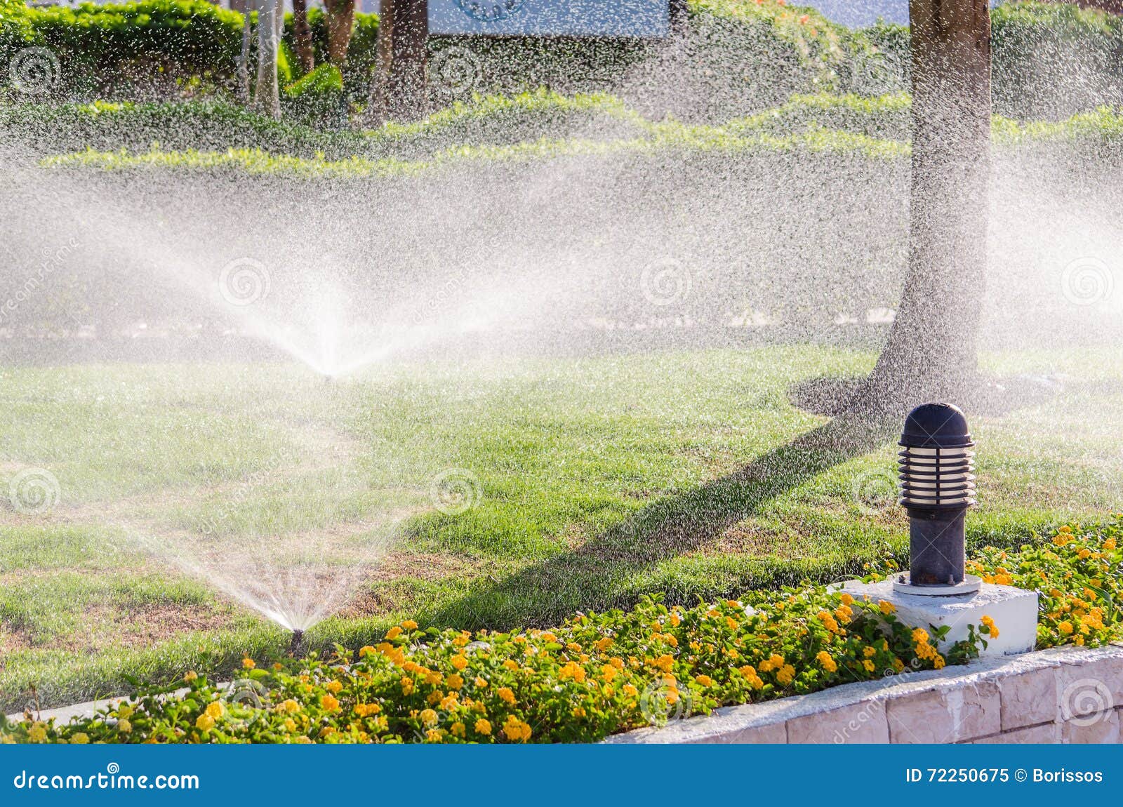 Automatic Sprinkle Plants in the Garden Stock Image - Image of nature ...