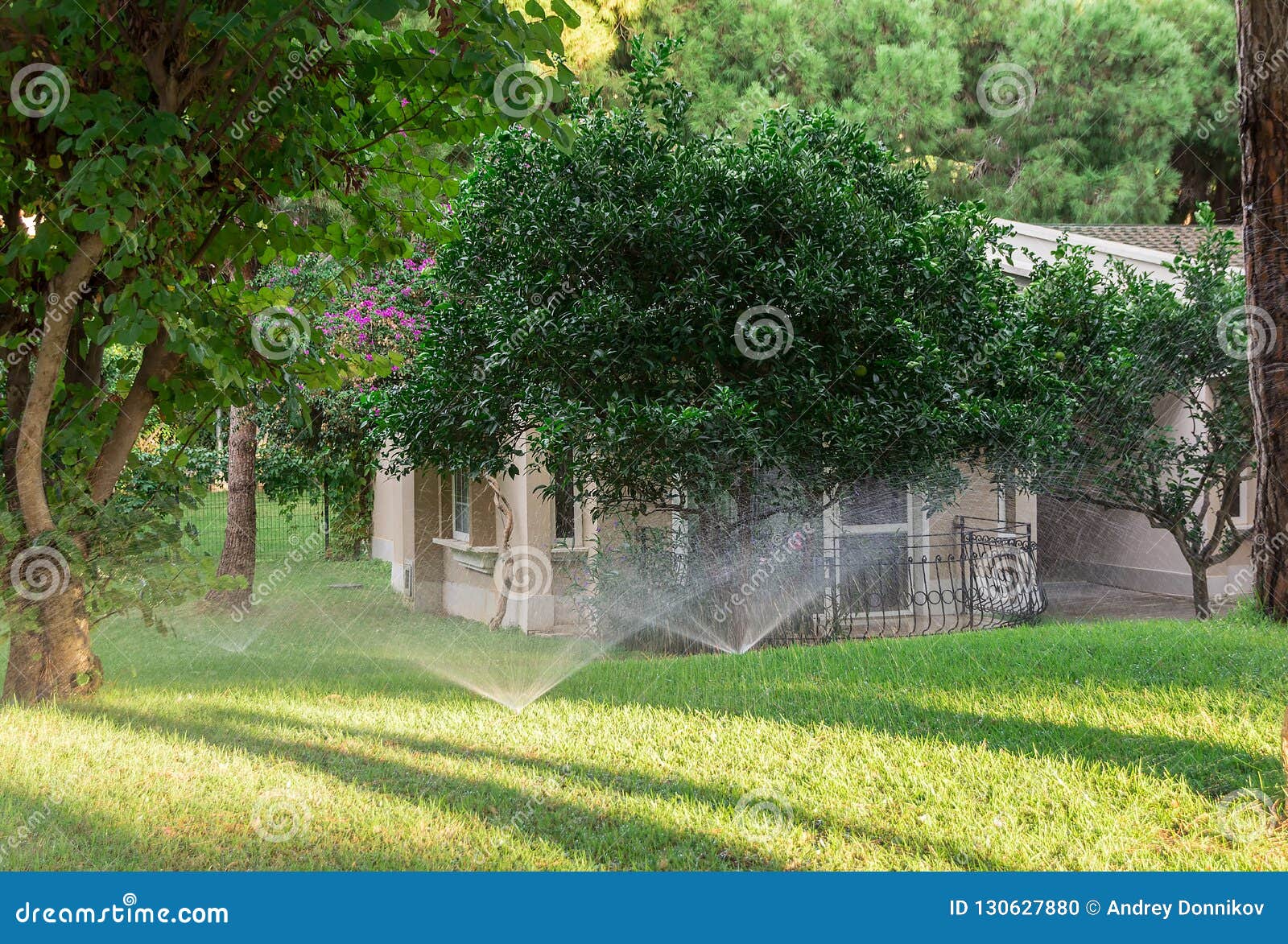 Automatic Sprinkle Plants in the Garden Stock Photo - Image of park ...