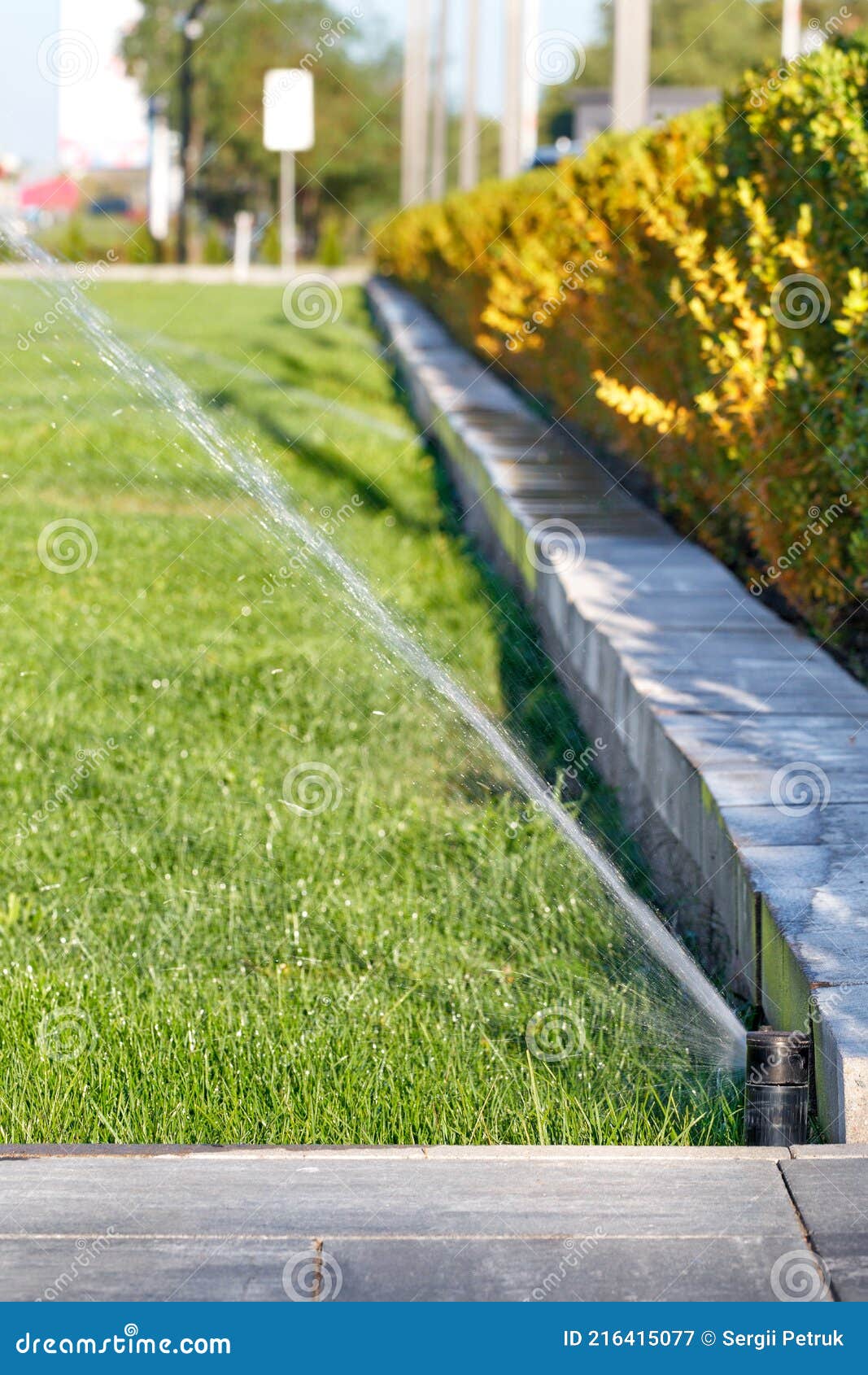 Automatic Sprinkler Irrigation System for Green Lawn in Operation Stock ...