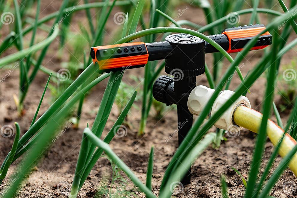 Automatic Sprinkler System Watering in Spring Garden. Stock Image ...