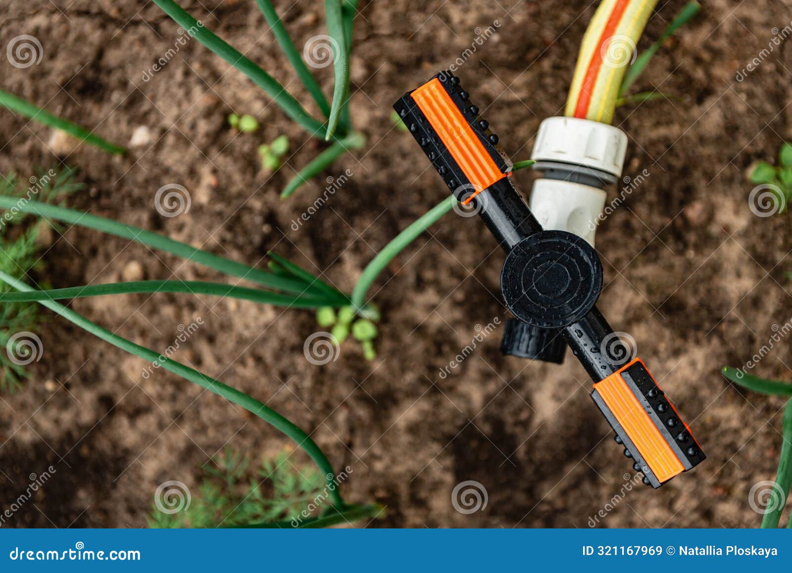 Automatic Sprinkler System Watering in Spring Garden. Stock Image ...