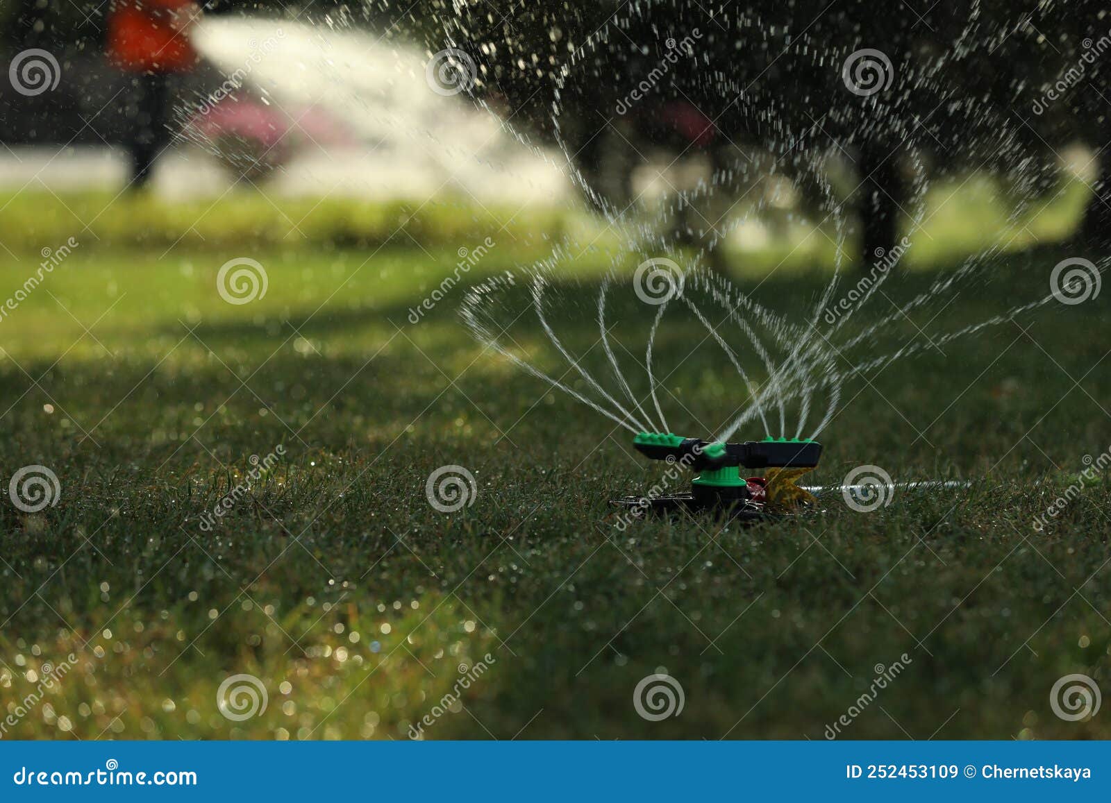 Automatic Sprinkler Watering Green Grass in Park. Irrigation System ...