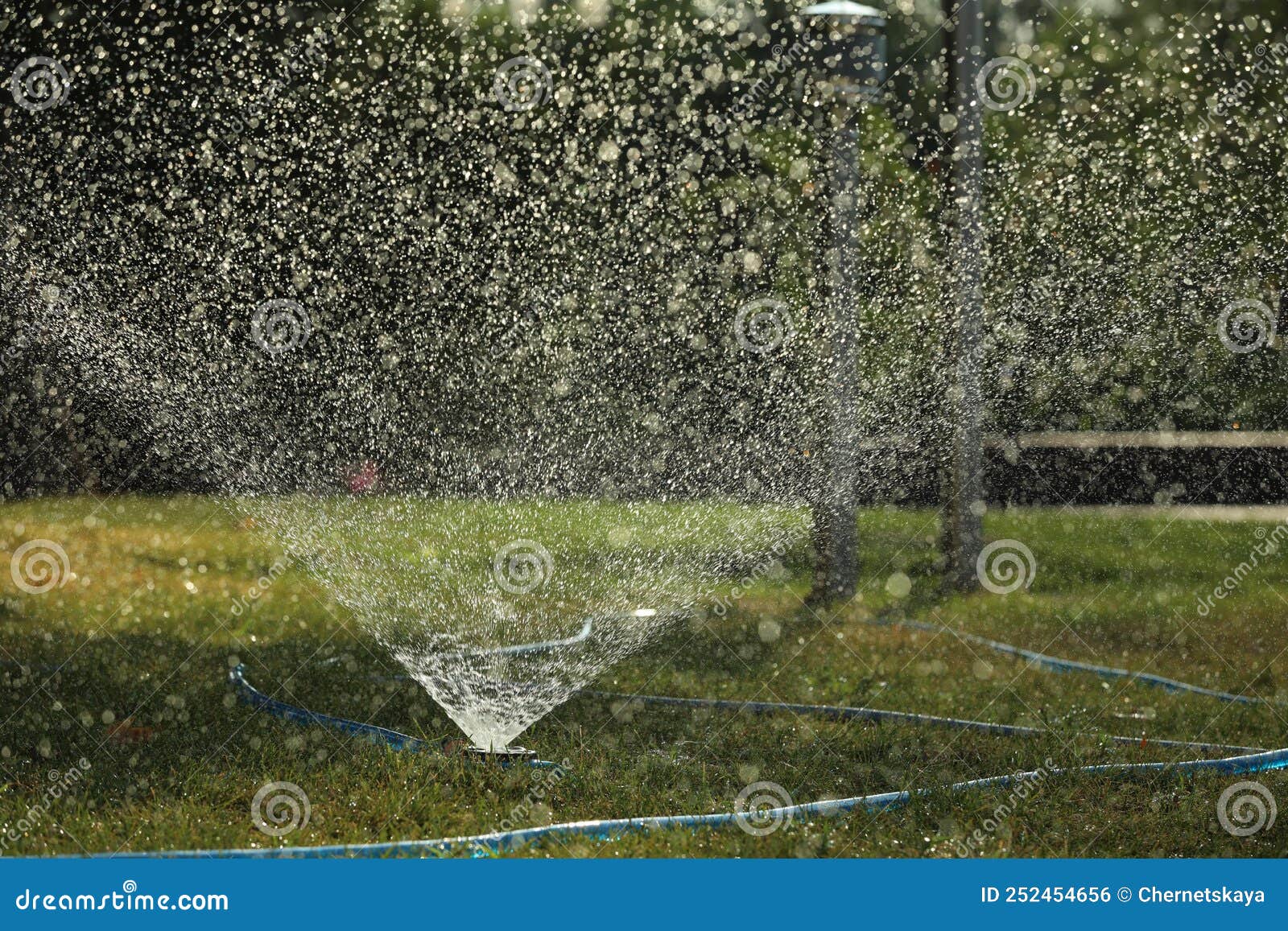 Automatic Sprinkler Watering Green Grass in Park. Irrigation System ...