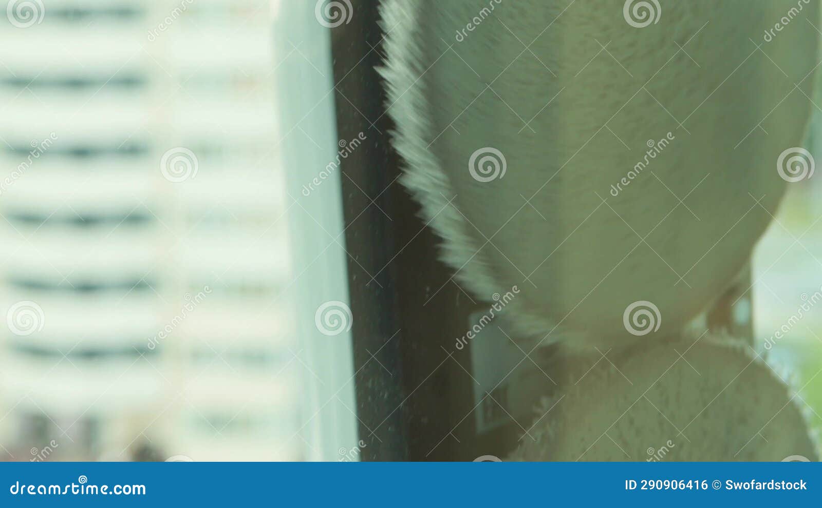 Automatic Vacuum Robot Window Washer Washes Glass from Dirt. Modern ...