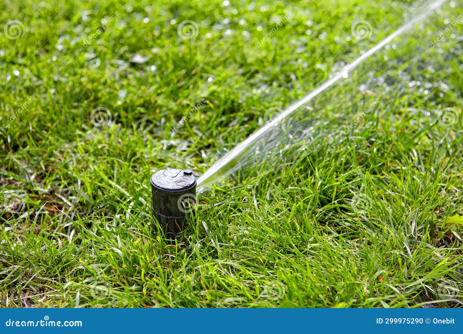 Automatic Watering on a Green Grass Lawn in the Garden Stock Photo ...